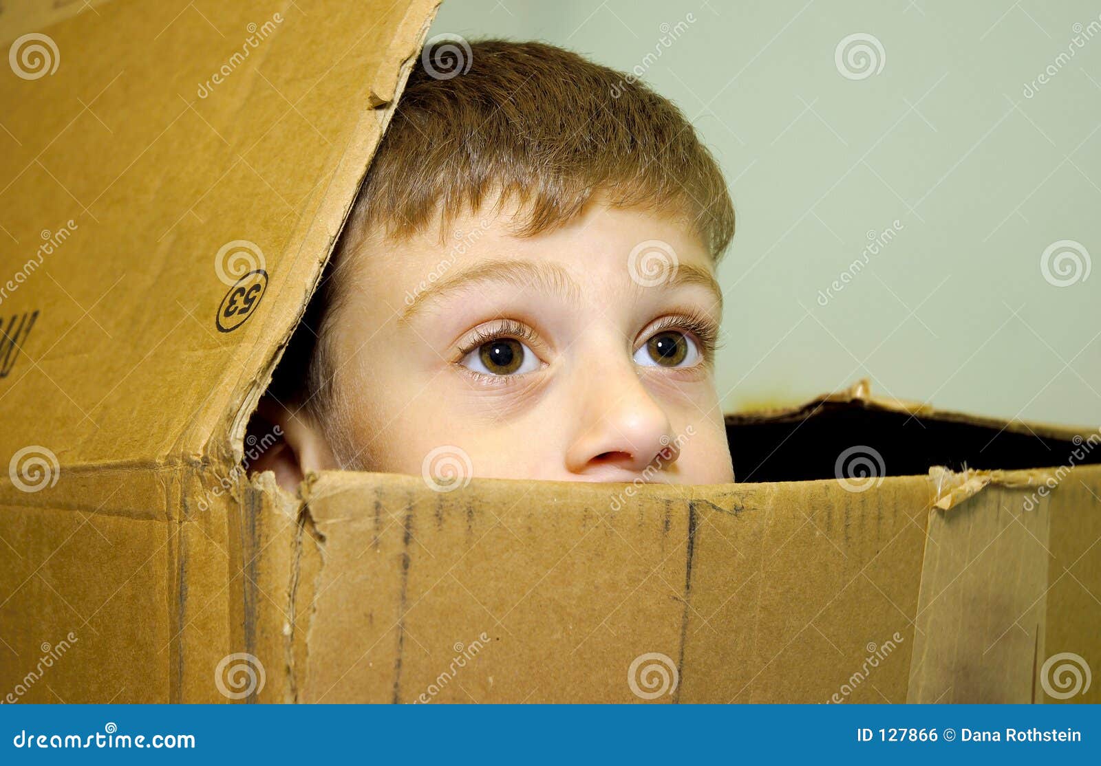 Child in a Box stock photo. Image of carton, expression - 127866