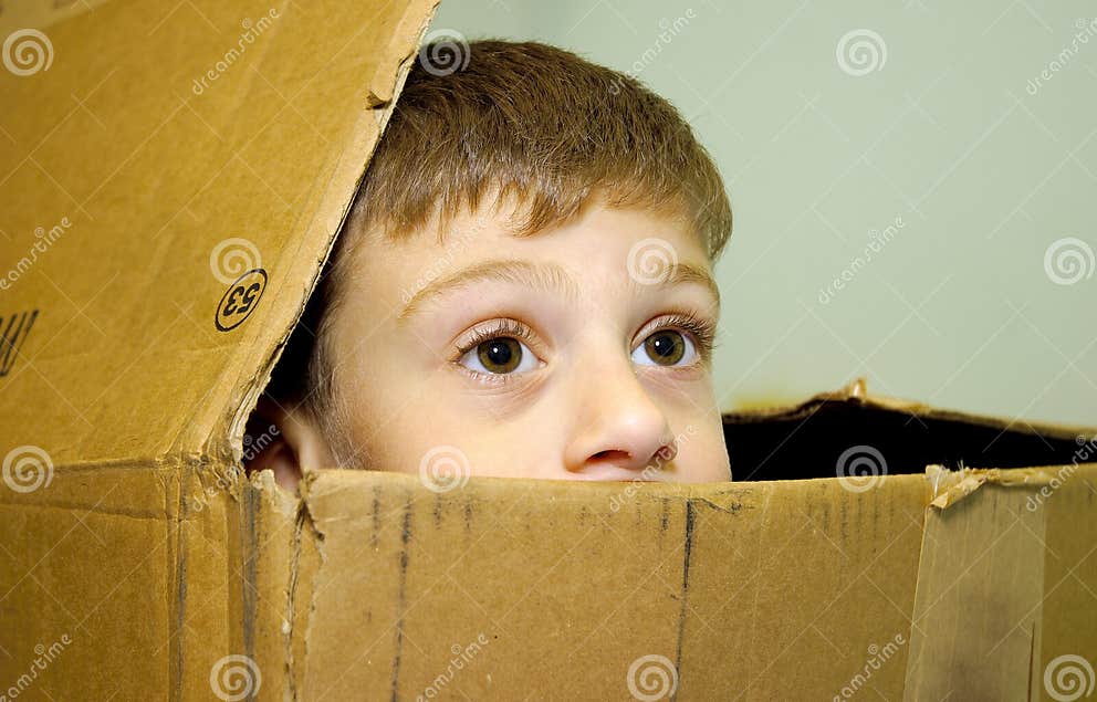 Child in a Box stock photo. Image of carton, expression - 127866