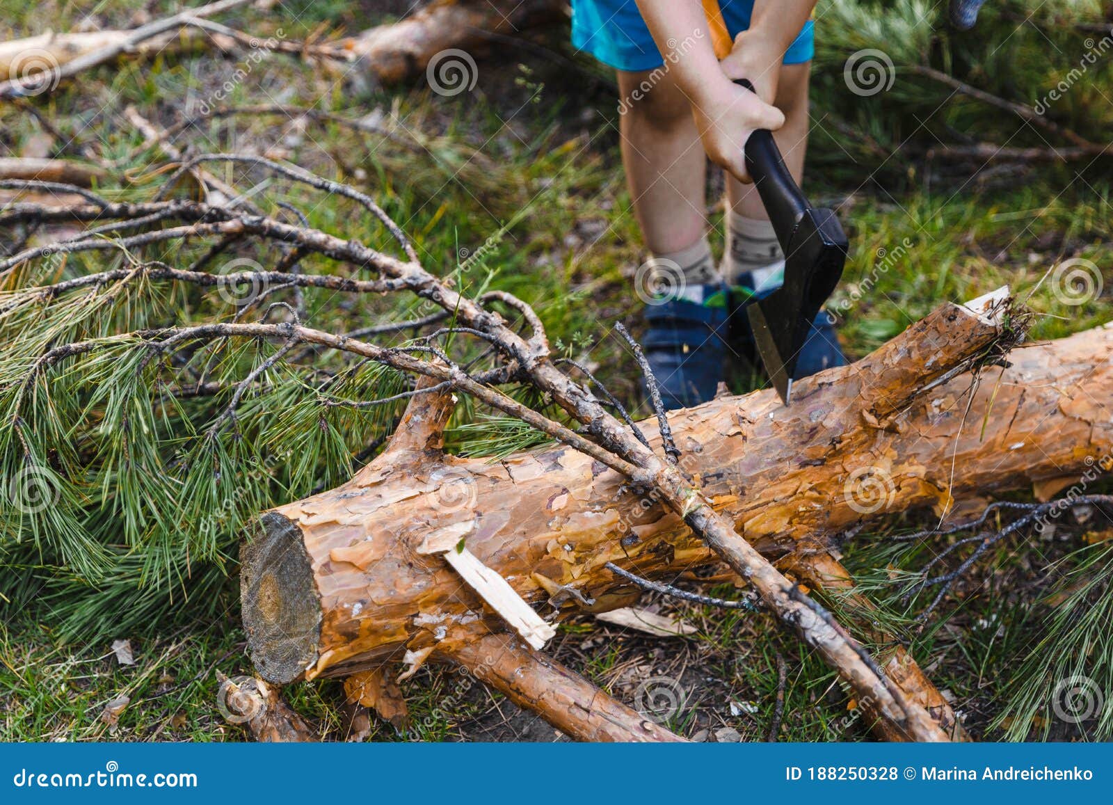 Child Boy Chop Tree Trunk with an Ax Stock Photo - Image of teaching ...