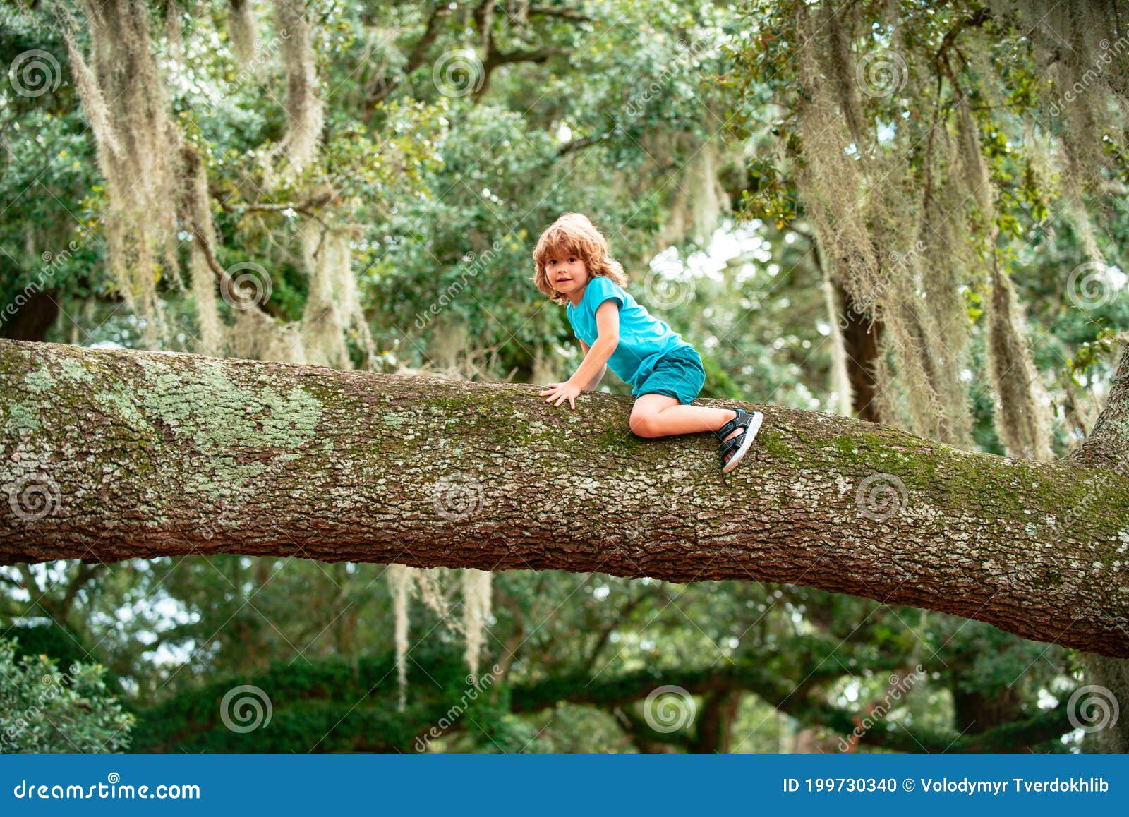 Child Boy Climbs Up the Tree in Park. Stock Photo - Image of discovery ...