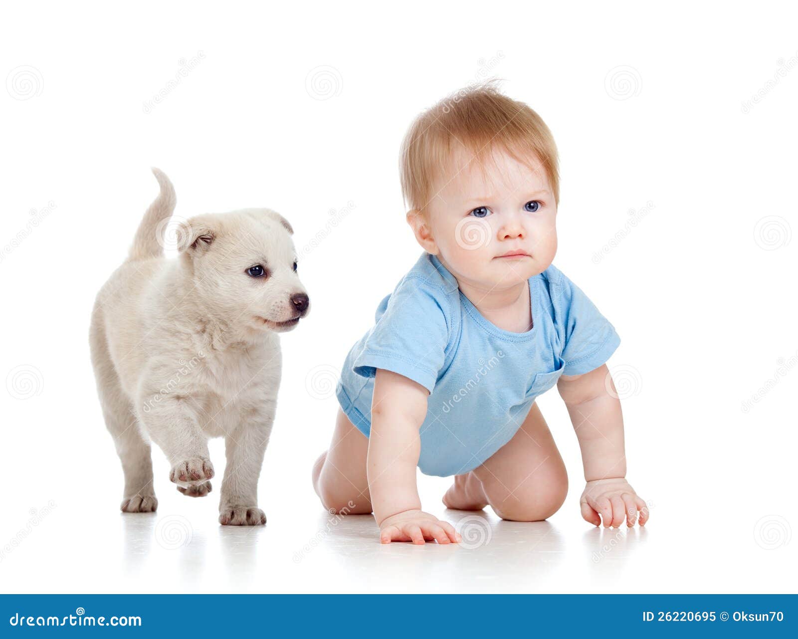 Child Boy and Dog Puppy Playing and Crawling Stock Image - Image of ...