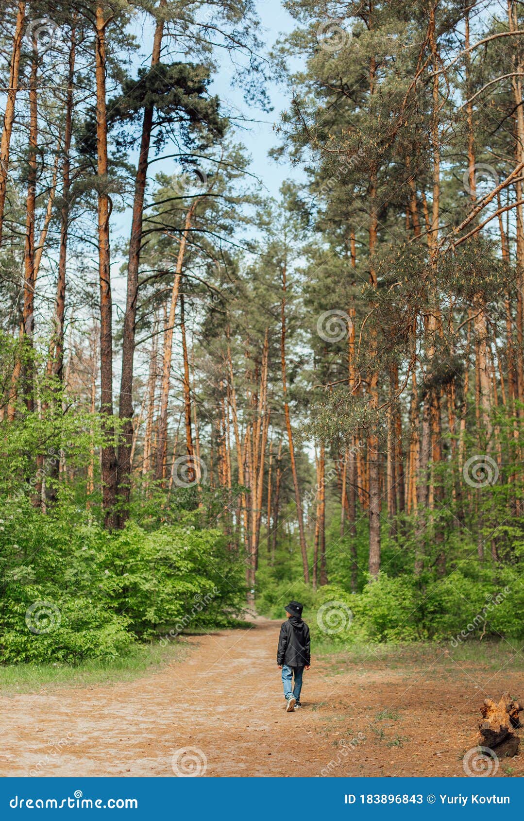 Child Boy Forest Alone Looking Path Outside Stock Image - Image of leaf ...