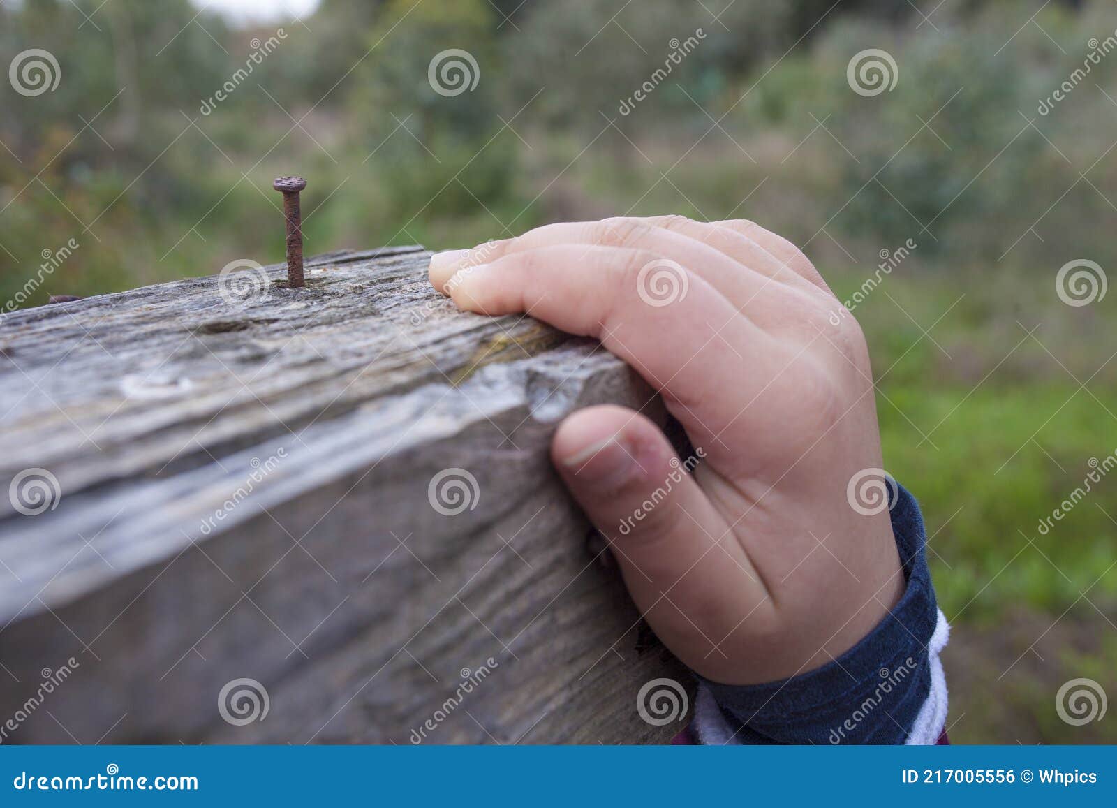 Child Boy Hand Grabbing a Board with Rusty Nail Near Stock Photo ...