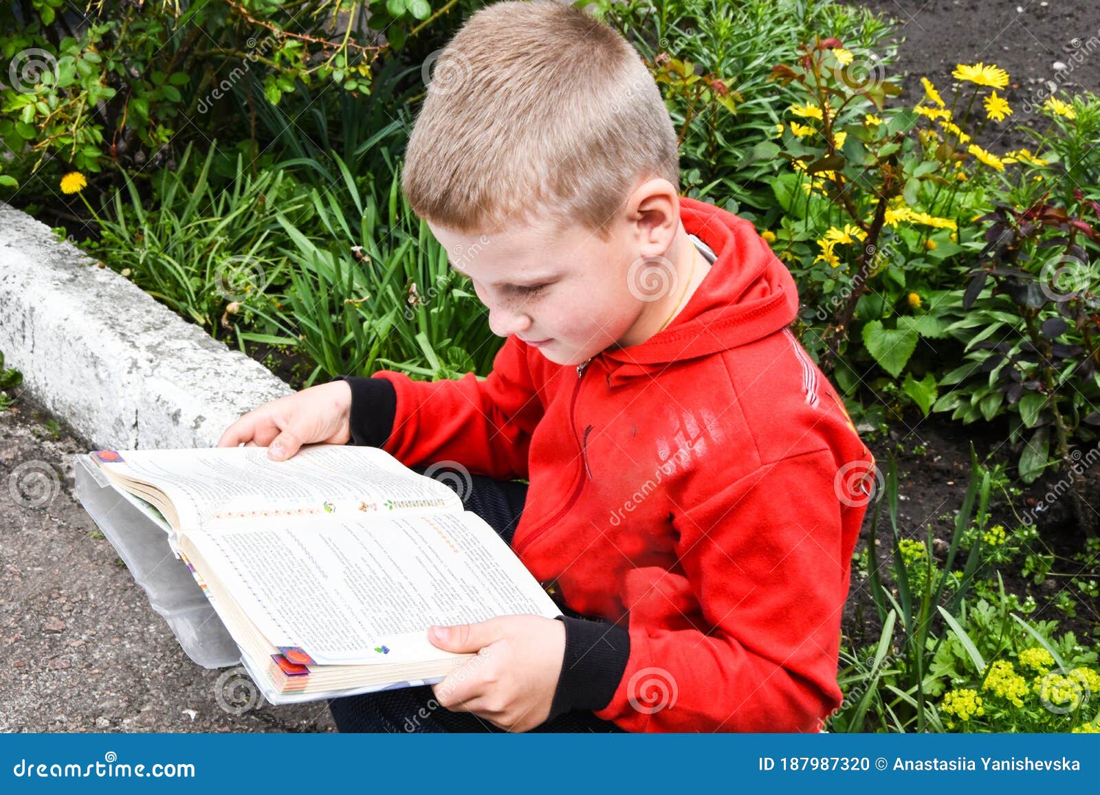 Child Boy Reading Book at the Garden, Student Studying in Park Stock ...