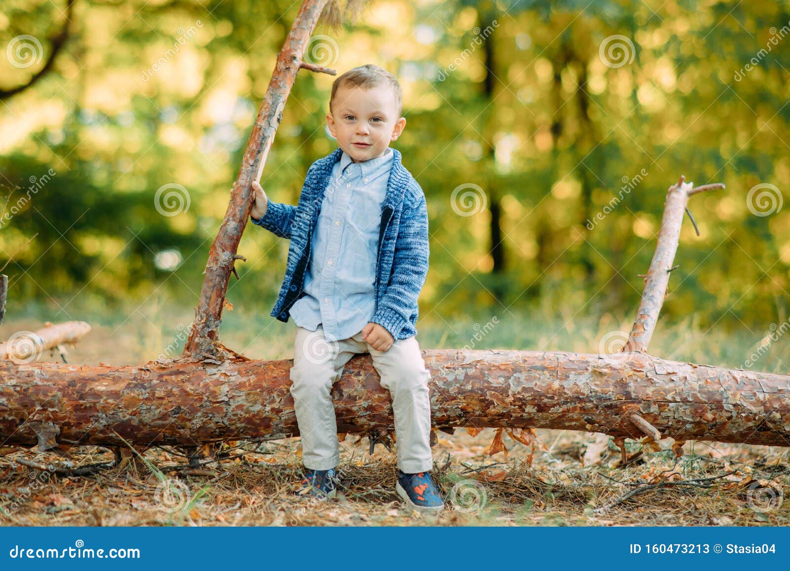 A Child Boy Sits on a Fallen Tree Trunk in Autumn Forest Stock Image ...