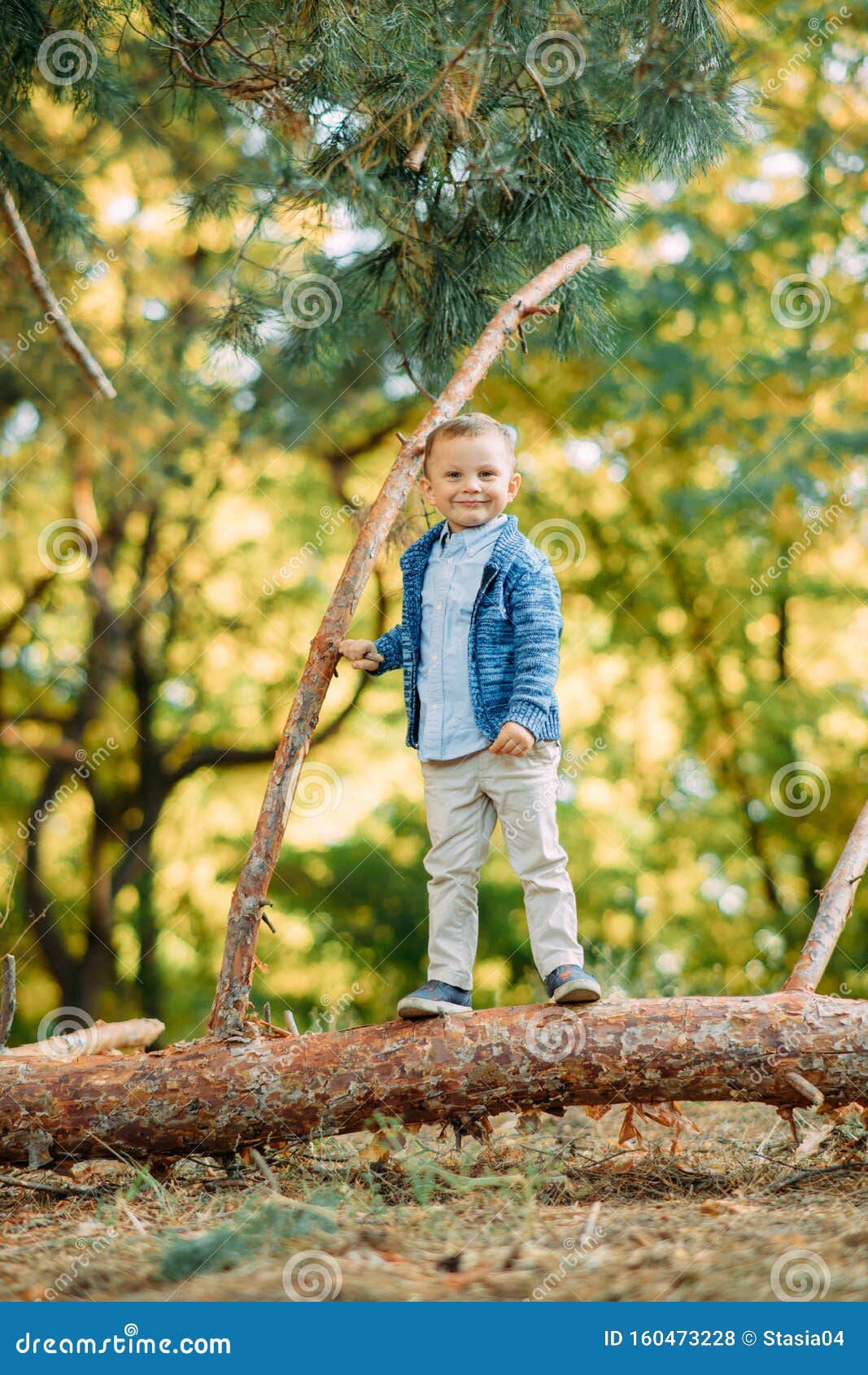 A Child Boy Stands on a Fallen Tree Trunk in Autumn Forest Stock Photo ...