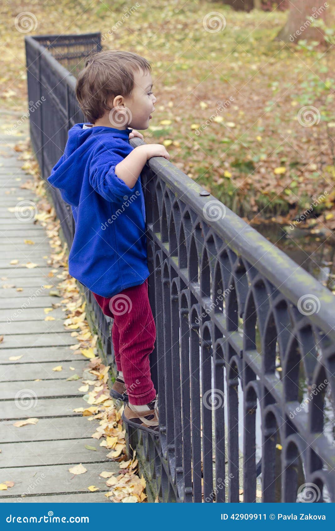 Child On Bridge Royalty-Free Stock Photo | CartoonDealer.com #42885999