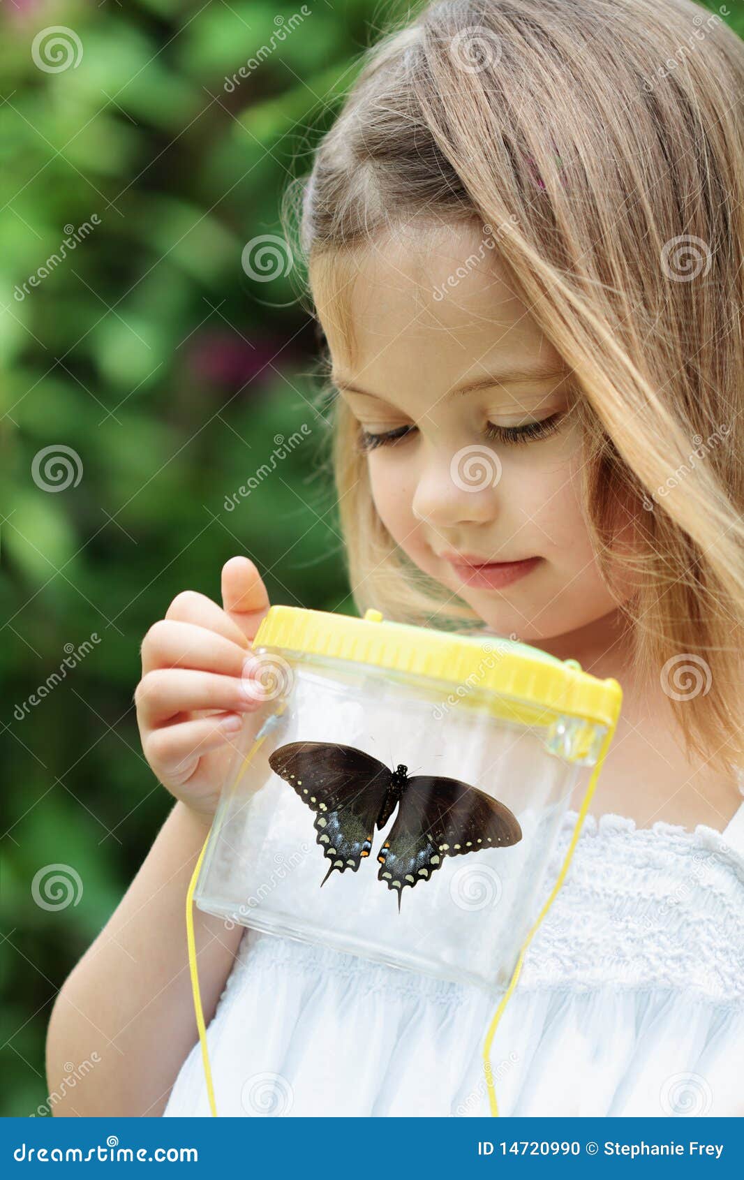 Child Capturing Butterflies Stock Photo - Image of fresh, closeup: 14720990