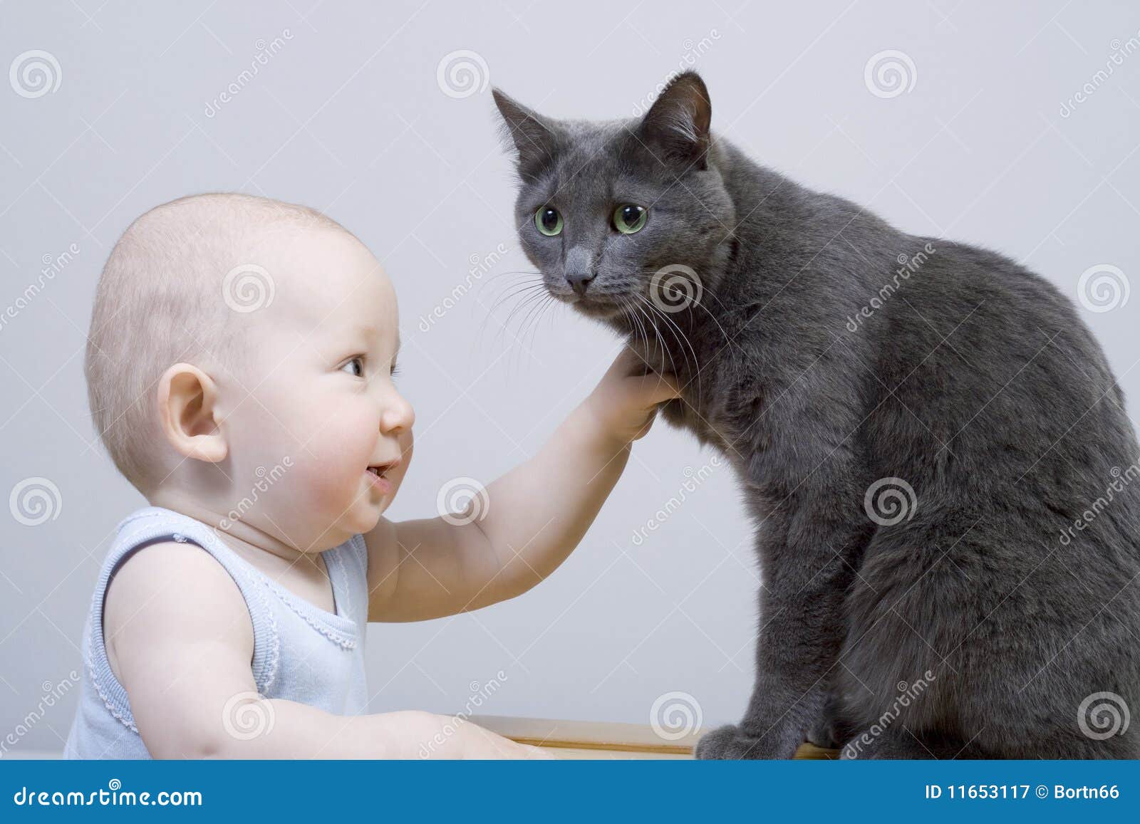 The child and cat stock image. Image of expression, childhood - 11653117