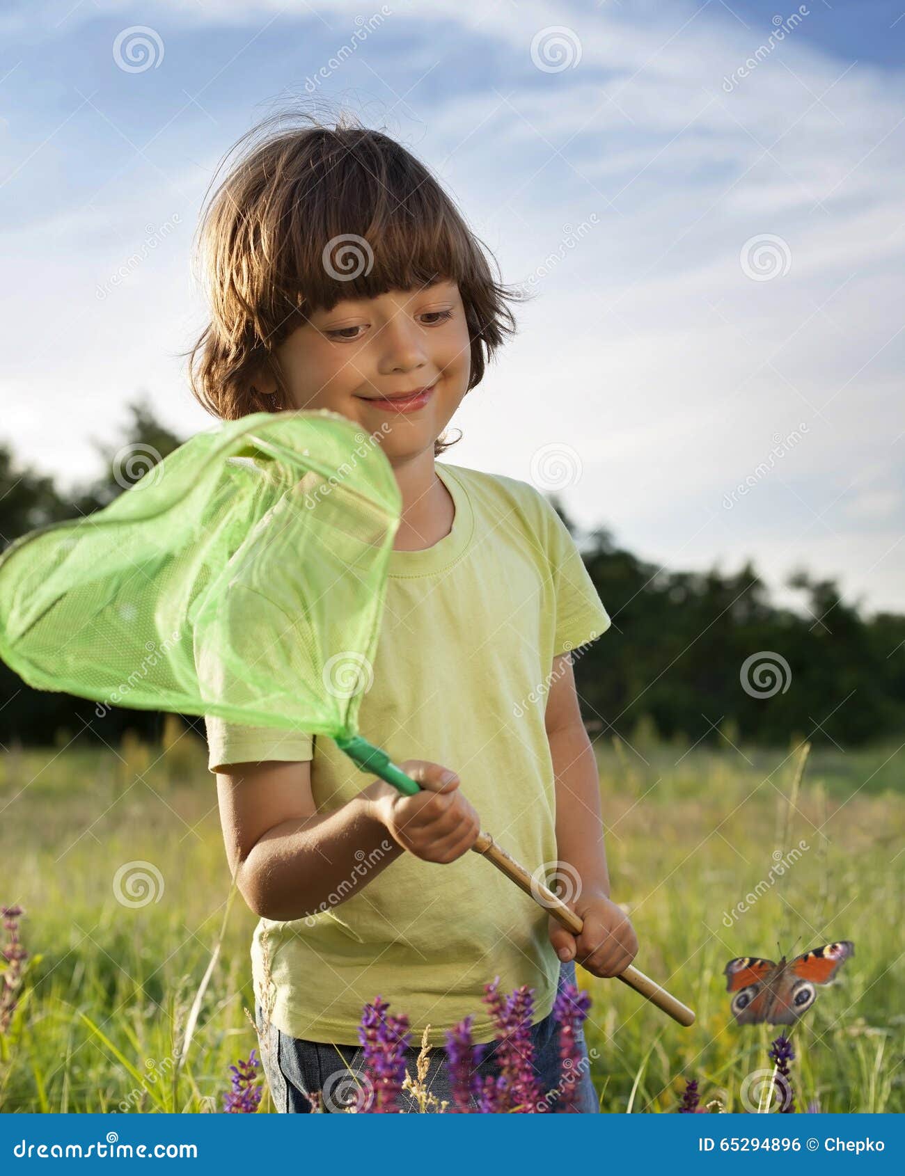 Child catches a butterfly stock photo. Image of catches - 65294896
