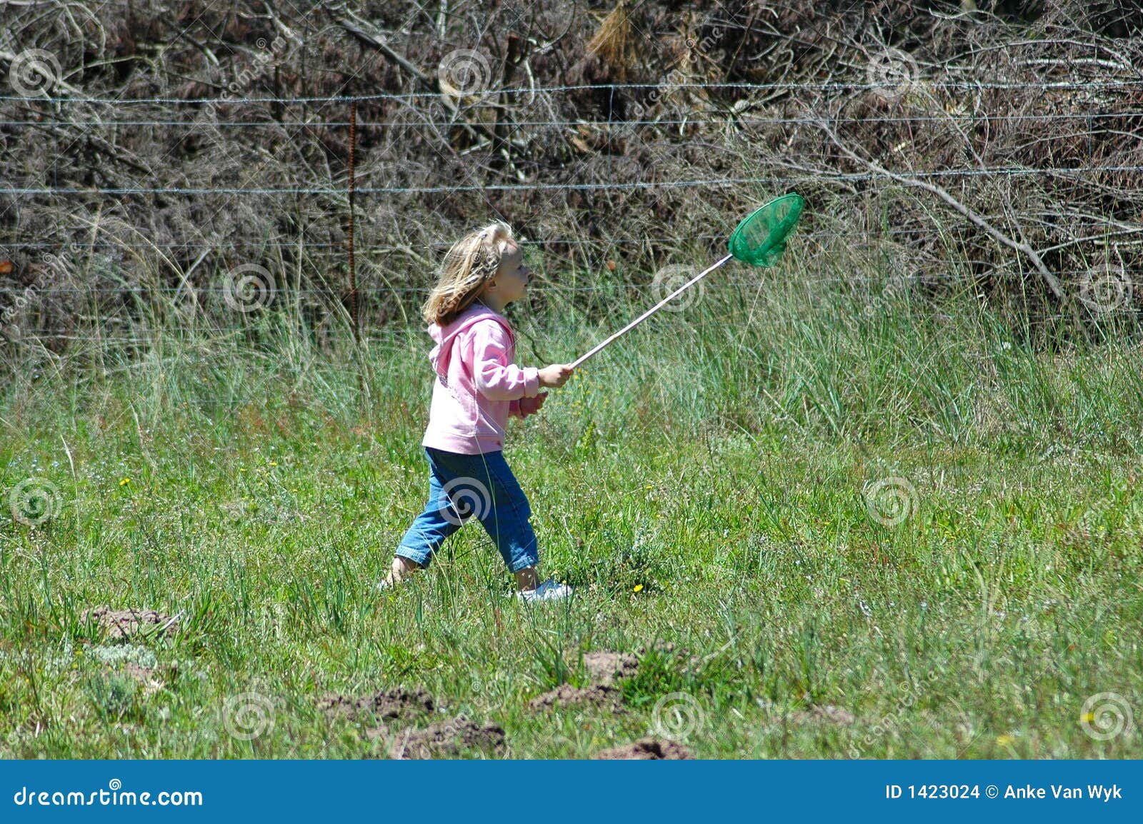 Child catching butterflies stock photo. Image of action - 1423024