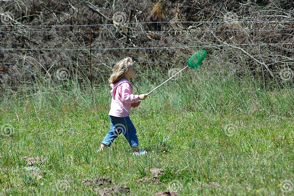 Child catching butterflies stock photo. Image of action - 1423024