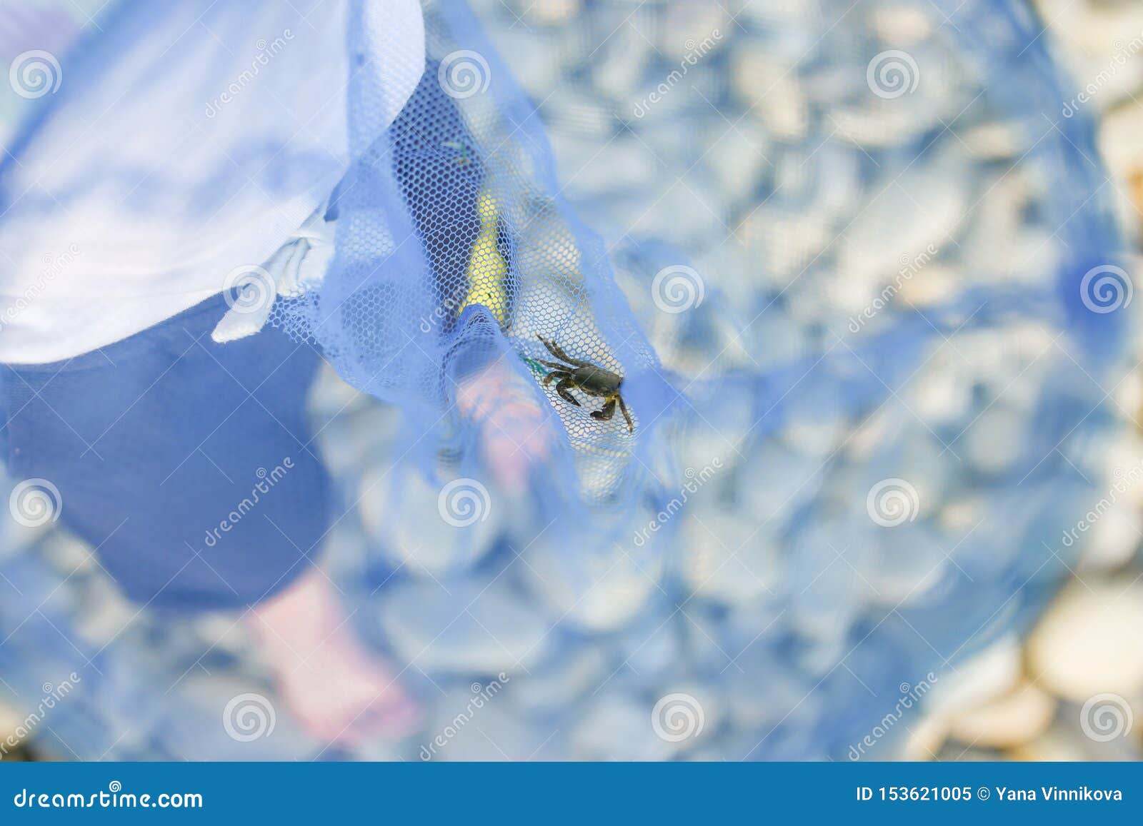 The Child Caught the Little Black Crab in His Blue Net Stock Image ...