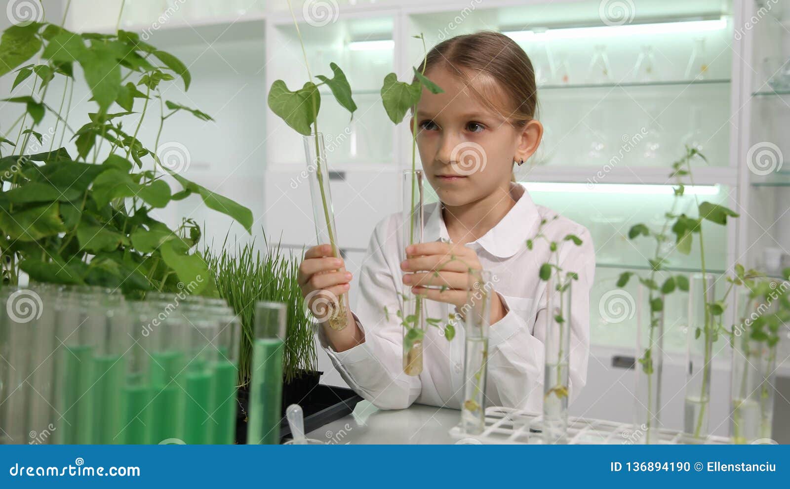 Child in Chemistry Lab, School Kid Science Experiment Educational ...