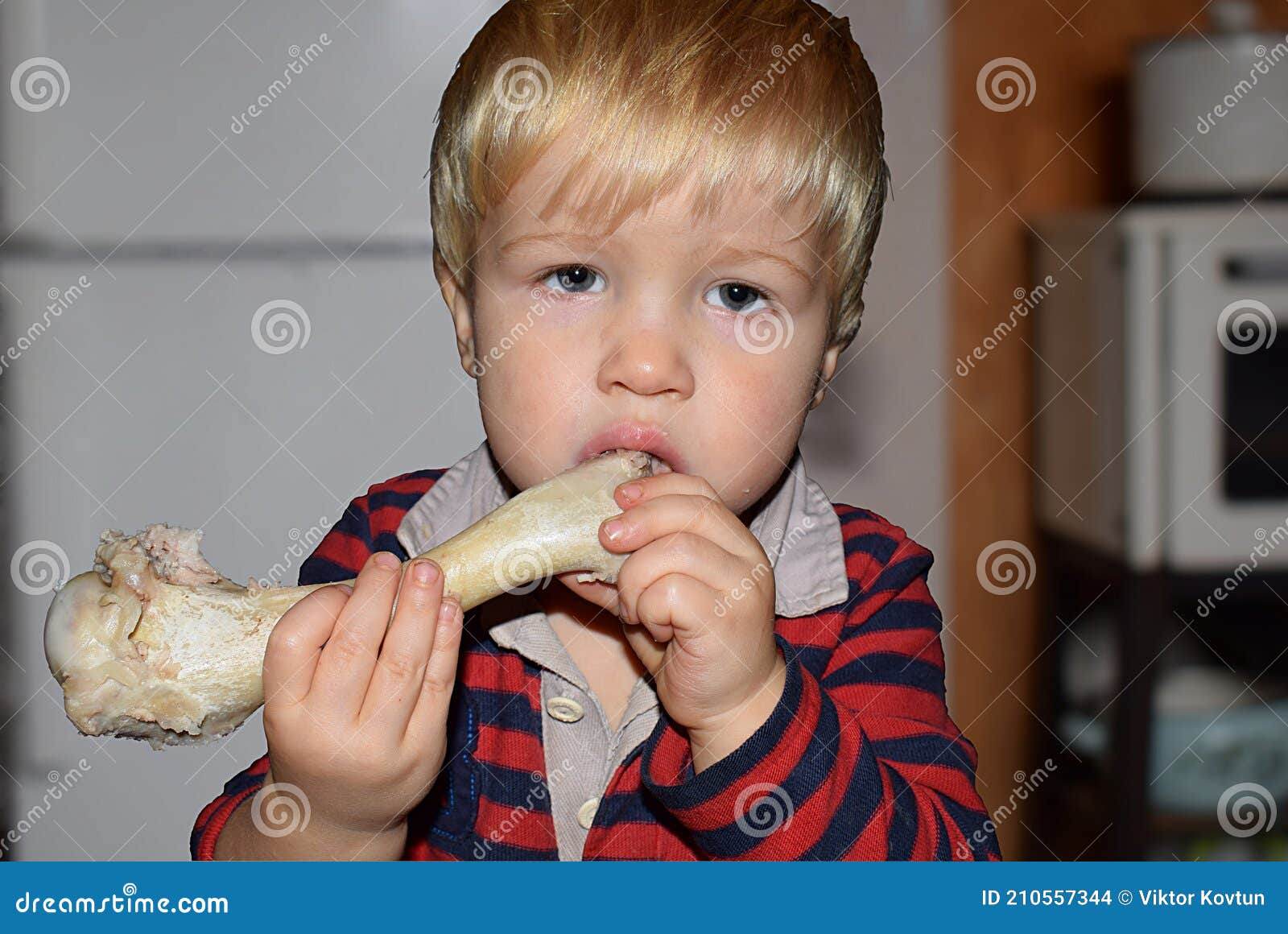 The Child Chews on a Large Bone Stock Photo - Image of lunch, chewing ...