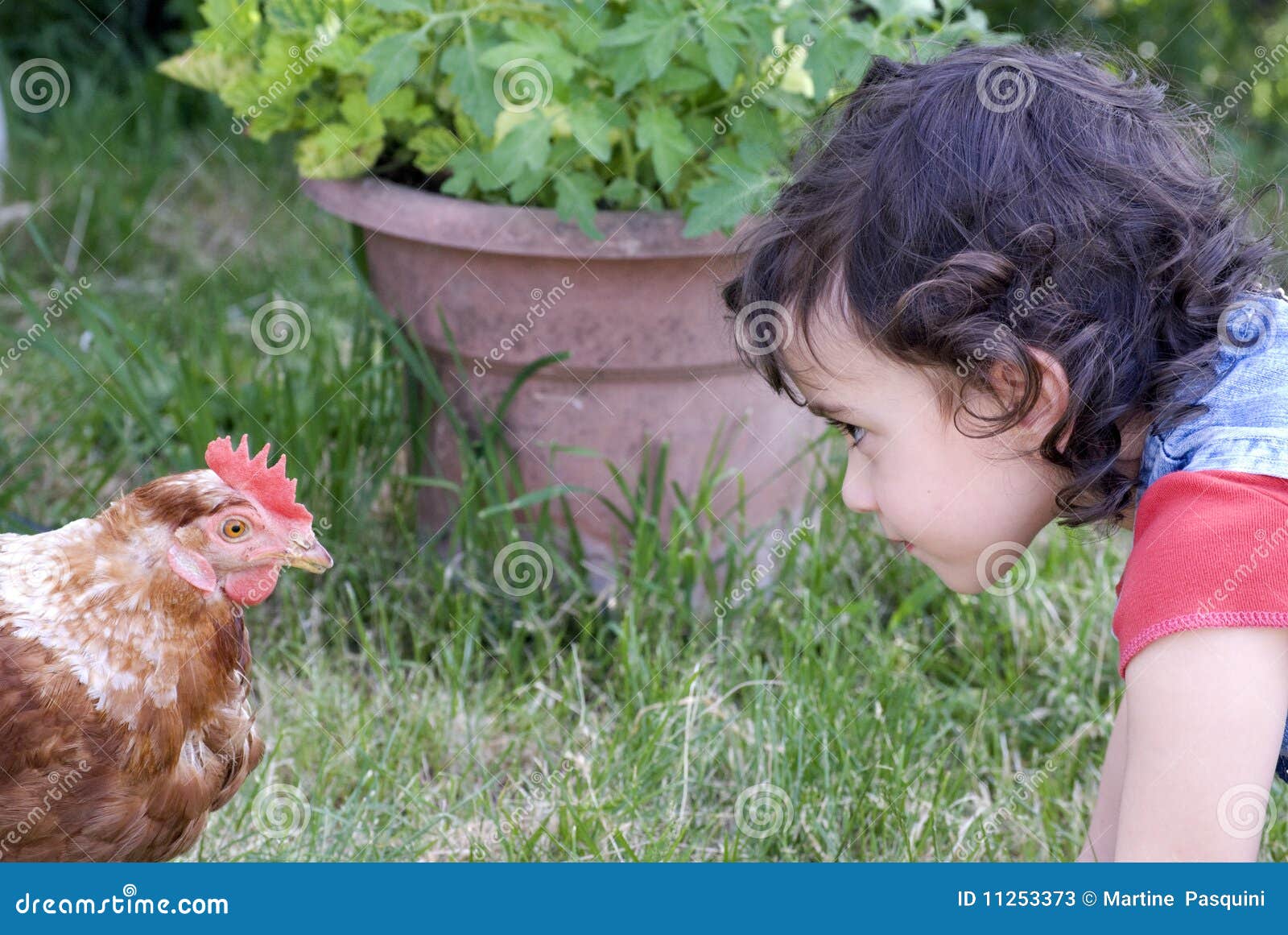 Child and chicken stock image. Image of smile, happiness - 11253373
