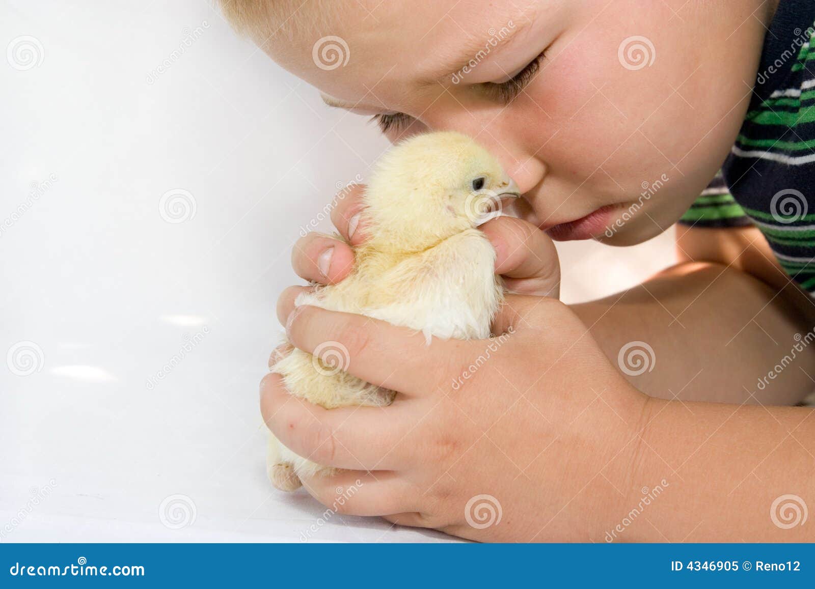 Child and chicken stock image. Image of yellow, bird, baby - 4346905