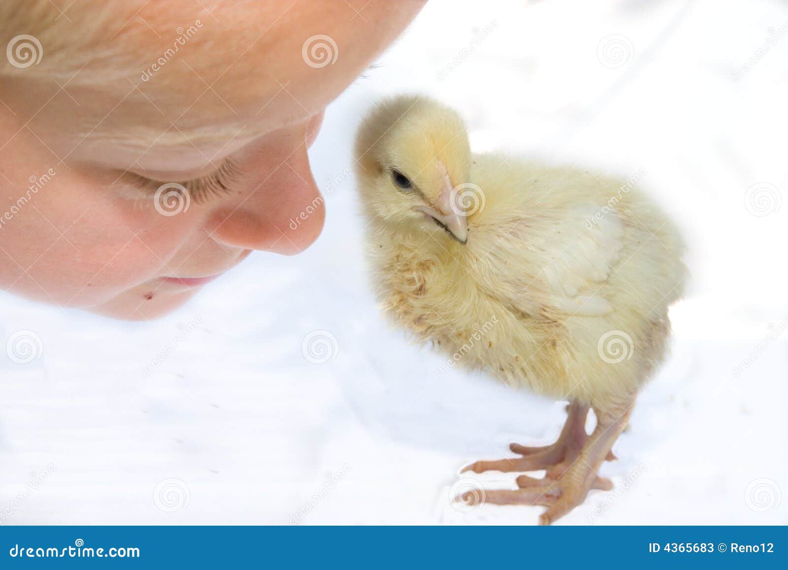 Child and chicken stock image. Image of face, baby, nature - 4365683