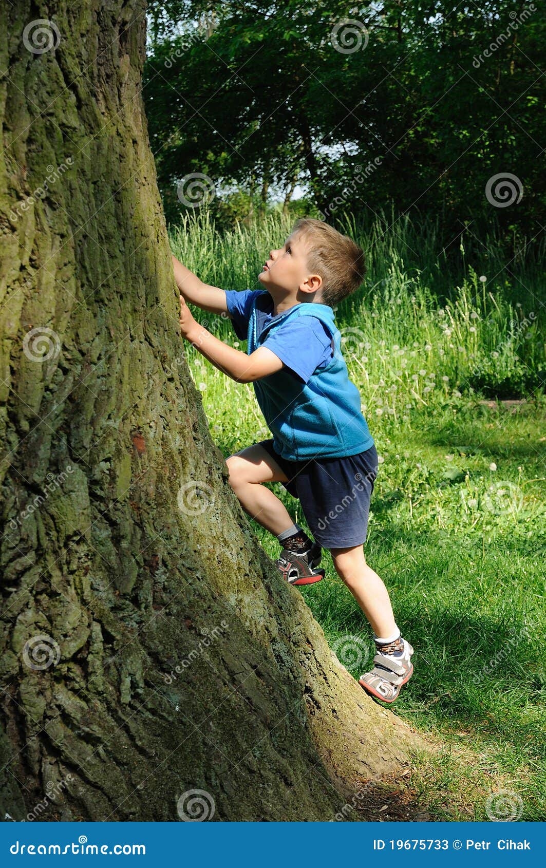 Child climbing tree stock image. Image of active, grass - 19675733