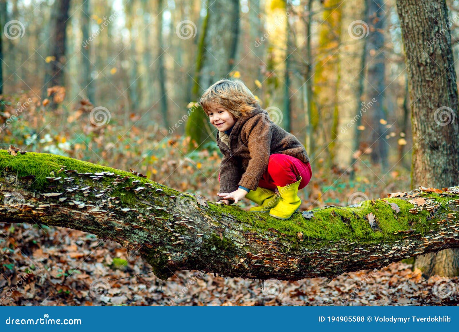 Child Climbing on Tree, Autumn Kids Time. Stock Photo - Image of fallen ...
