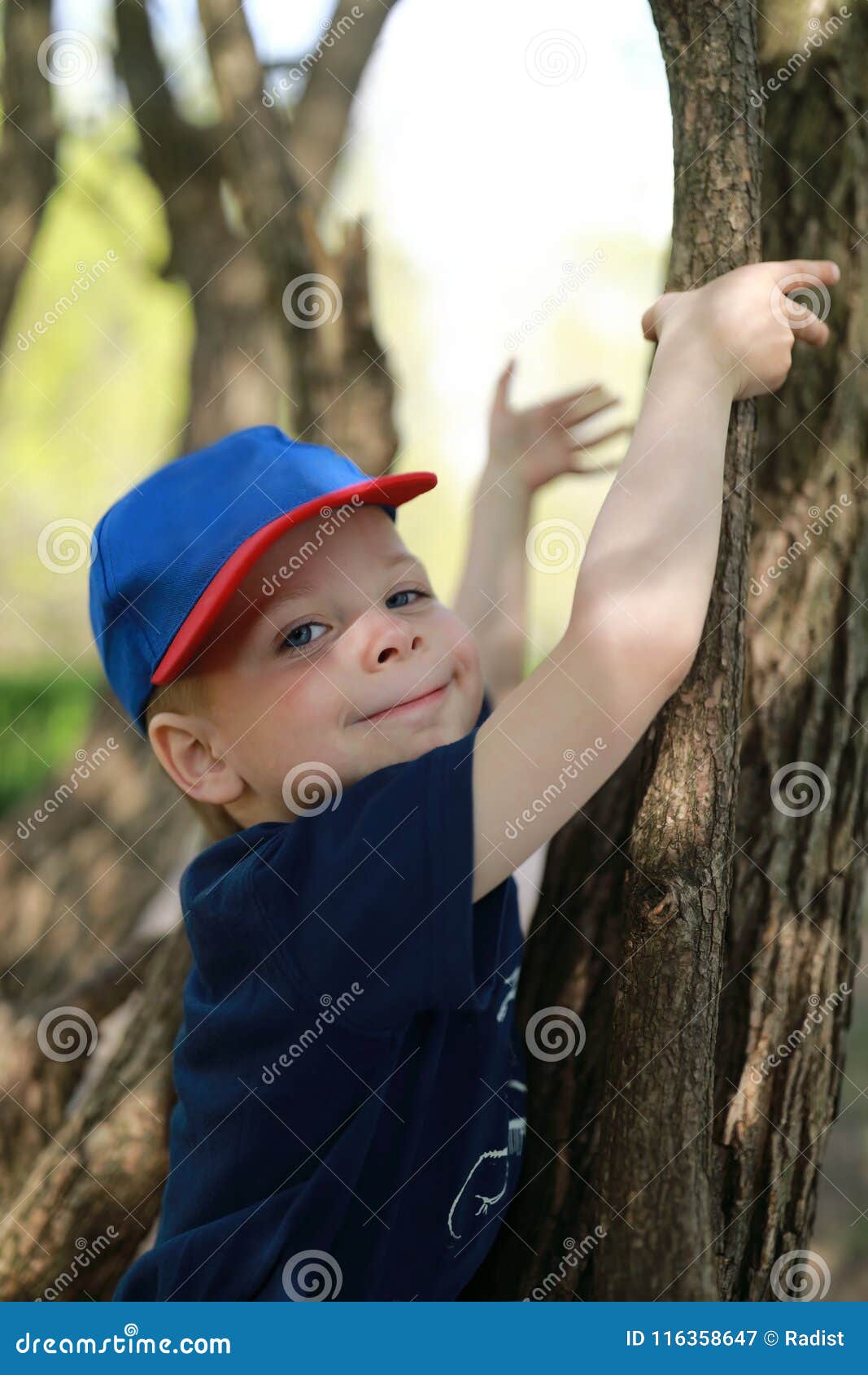 Child climbing tree stock image. Image of garden, green - 116358647