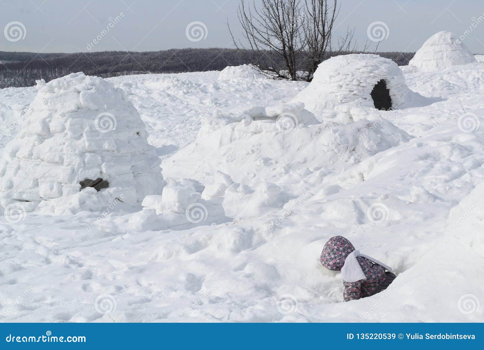 The Child Climbs Out of the Snow Cave - Dwelling Inuit, Igloo Stock ...