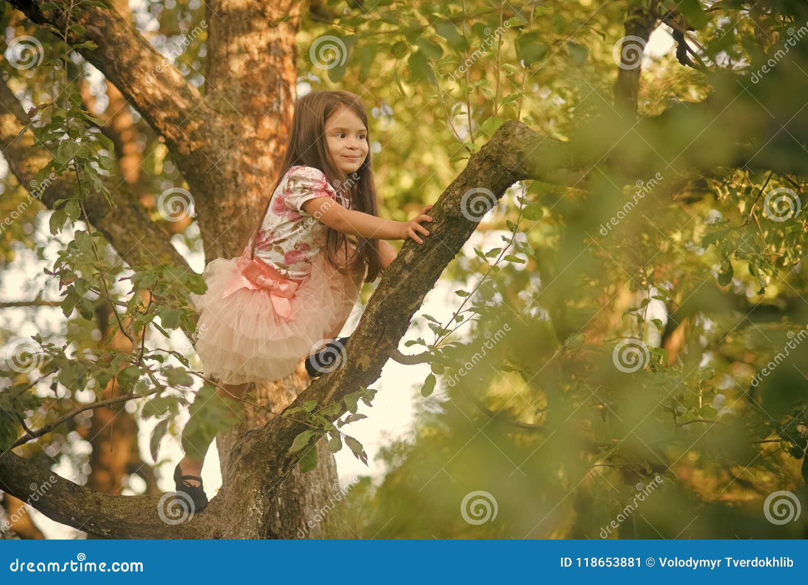 Child Climbs the Tree for Fruit. Happy Child Play in Garden on Tree ...