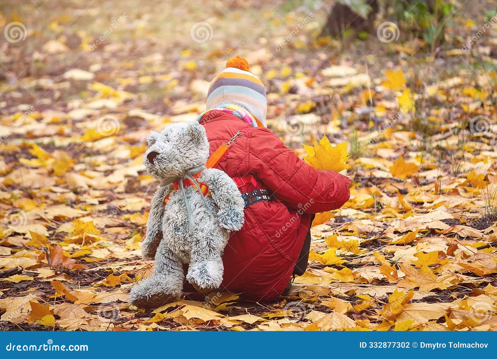 Child Collecting and Picking Fallen Tree Leaves in Autumn Park Stock ...