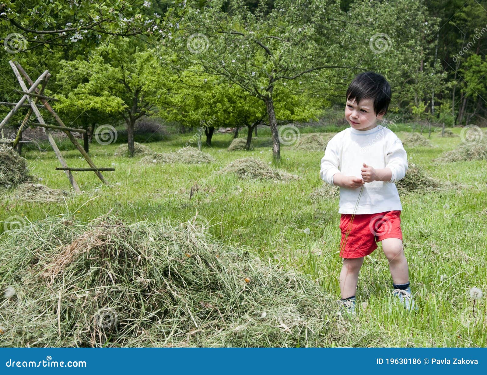 Child in countryside stock photo. Image of agriculture - 19630186
