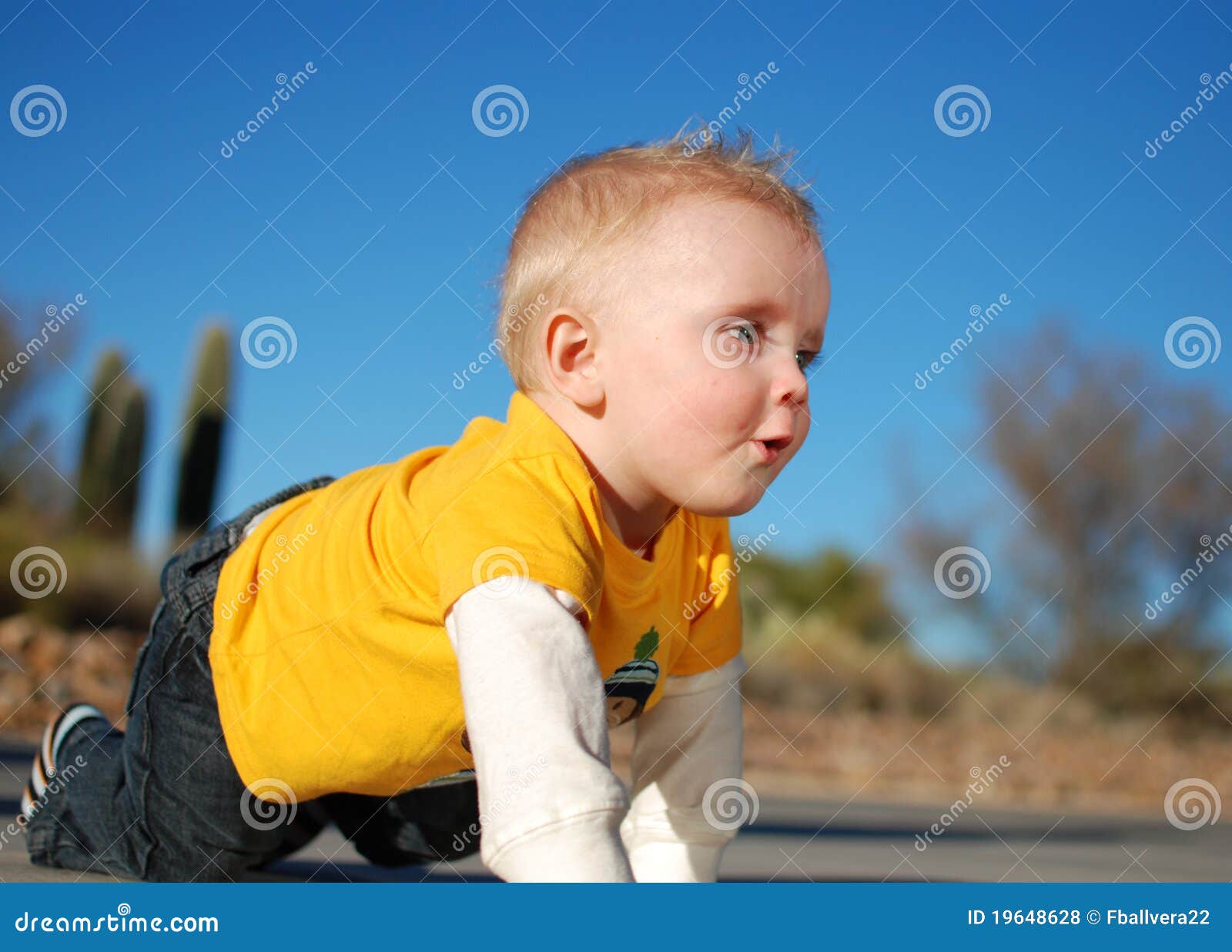 Child Crawling stock photo. Image of baby, crawling, crawl - 19648628