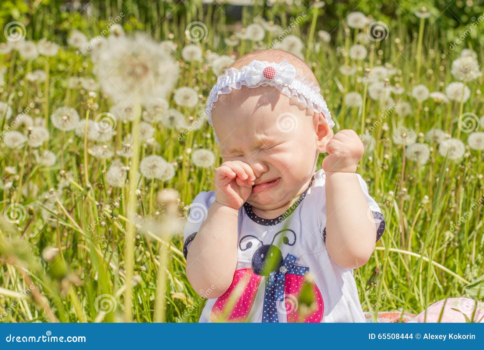 Child is Crying in the Meadow with Dandelions Stock Photo - Image of ...