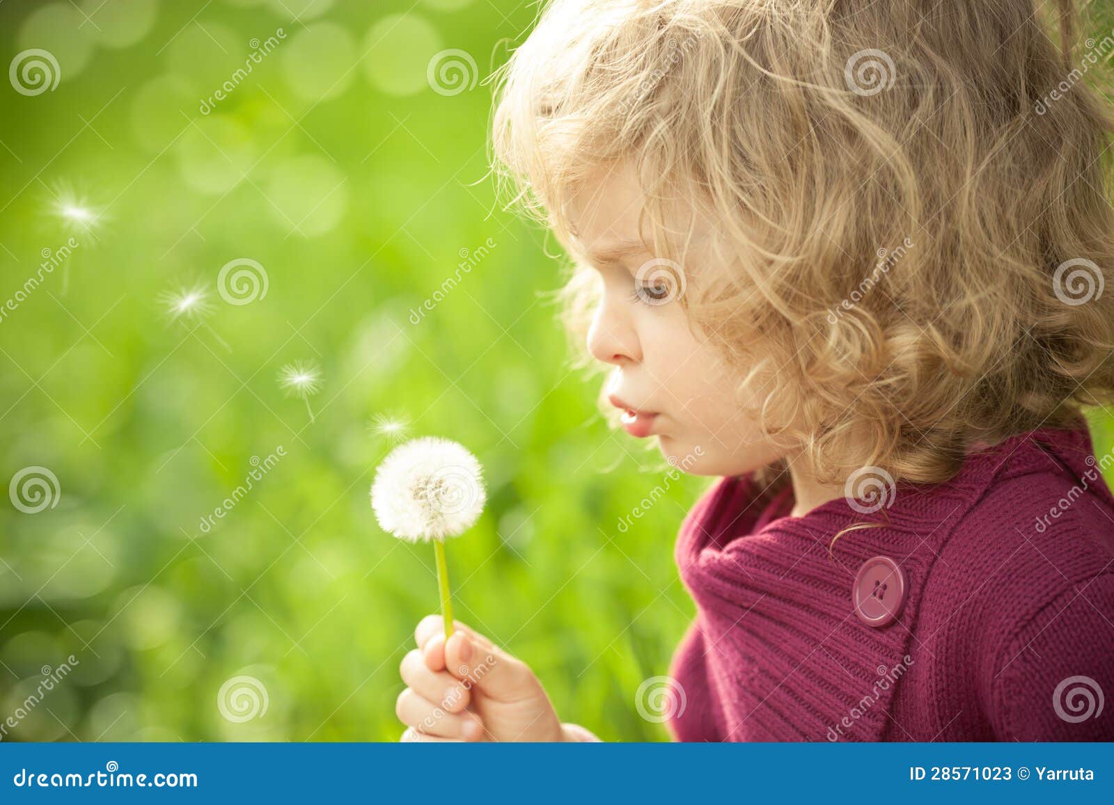 Child with dandelion stock image. Image of person, playing - 28571023