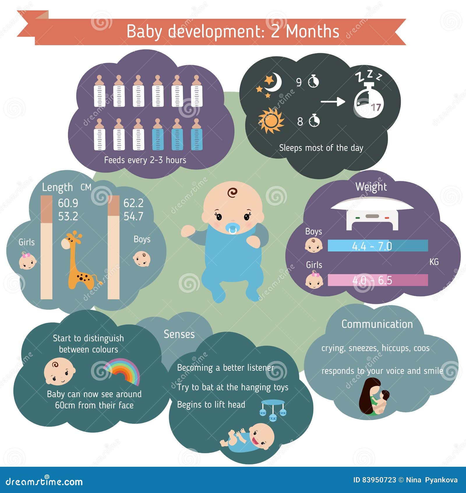 Child Development Infographics Stock Vector - Illustration of birth ...