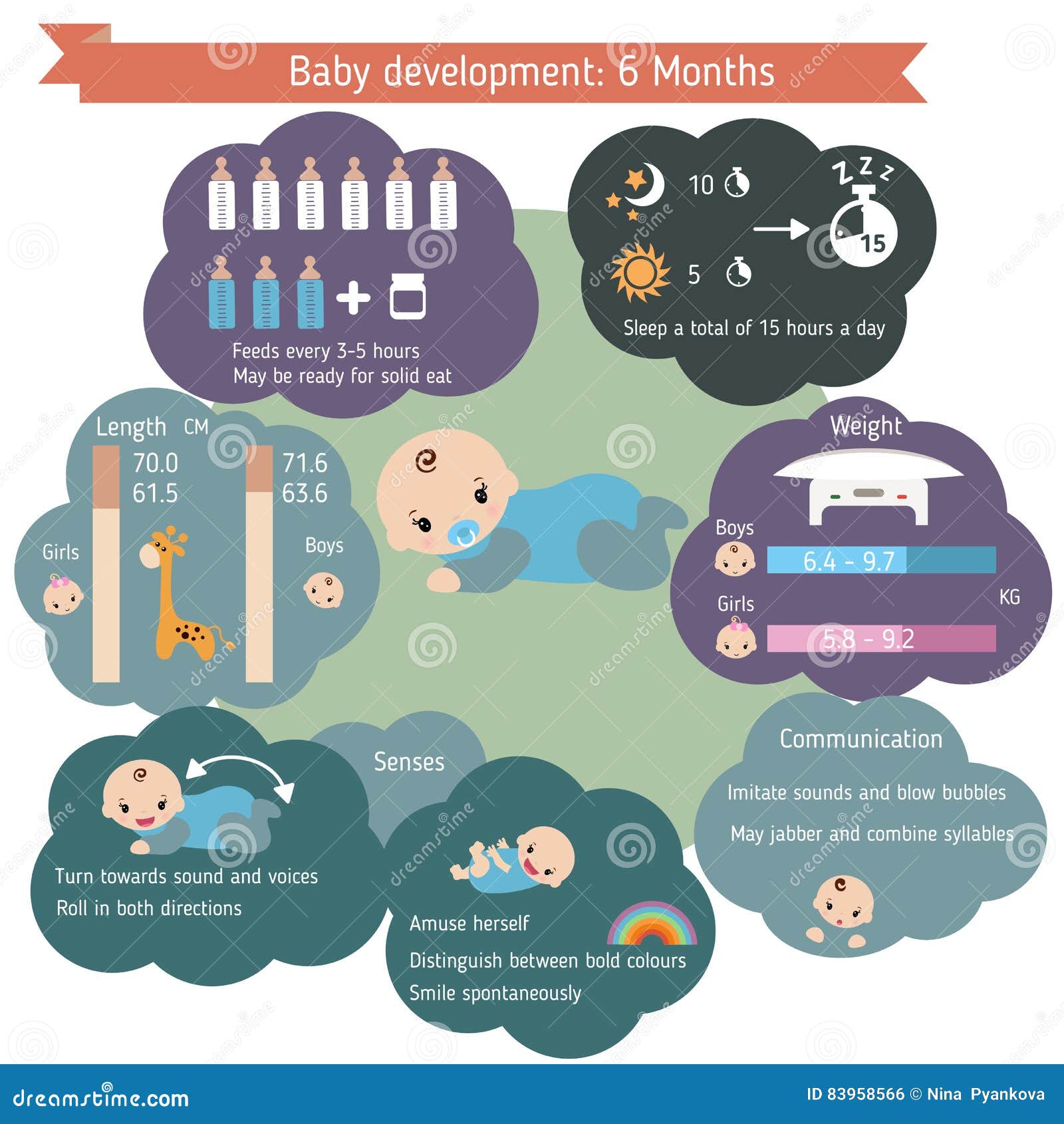 Child Development Infographics Stock Vector - Illustration of height ...