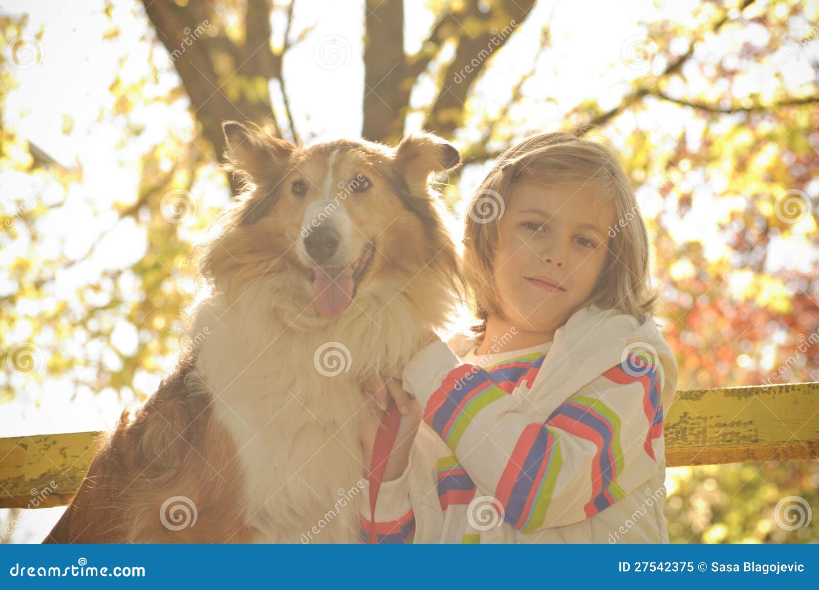 Child and dog stock image. Image of pets, face, nature - 27542375