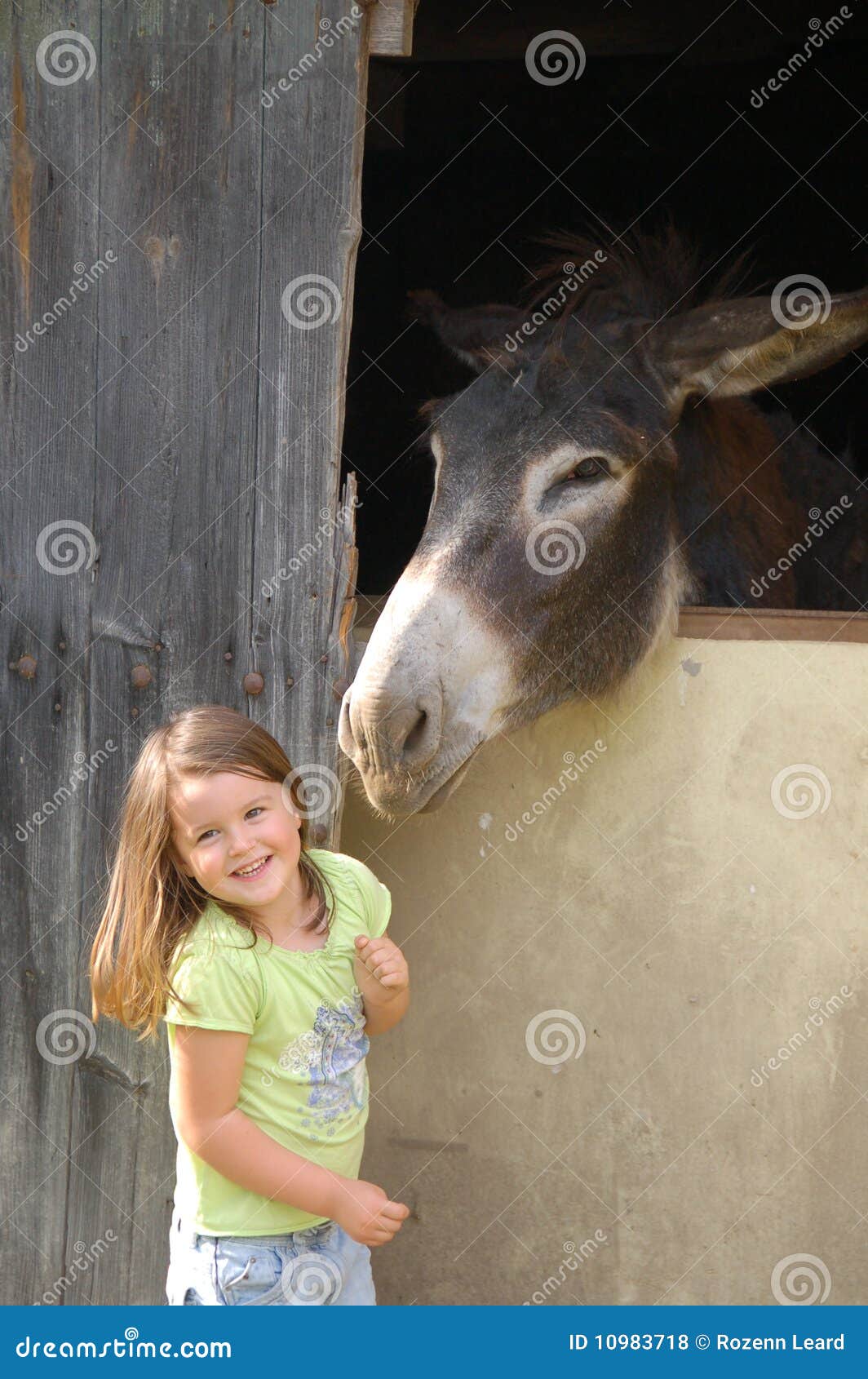 Child and donkey stock photo. Image of caucasian, discovery - 10983718