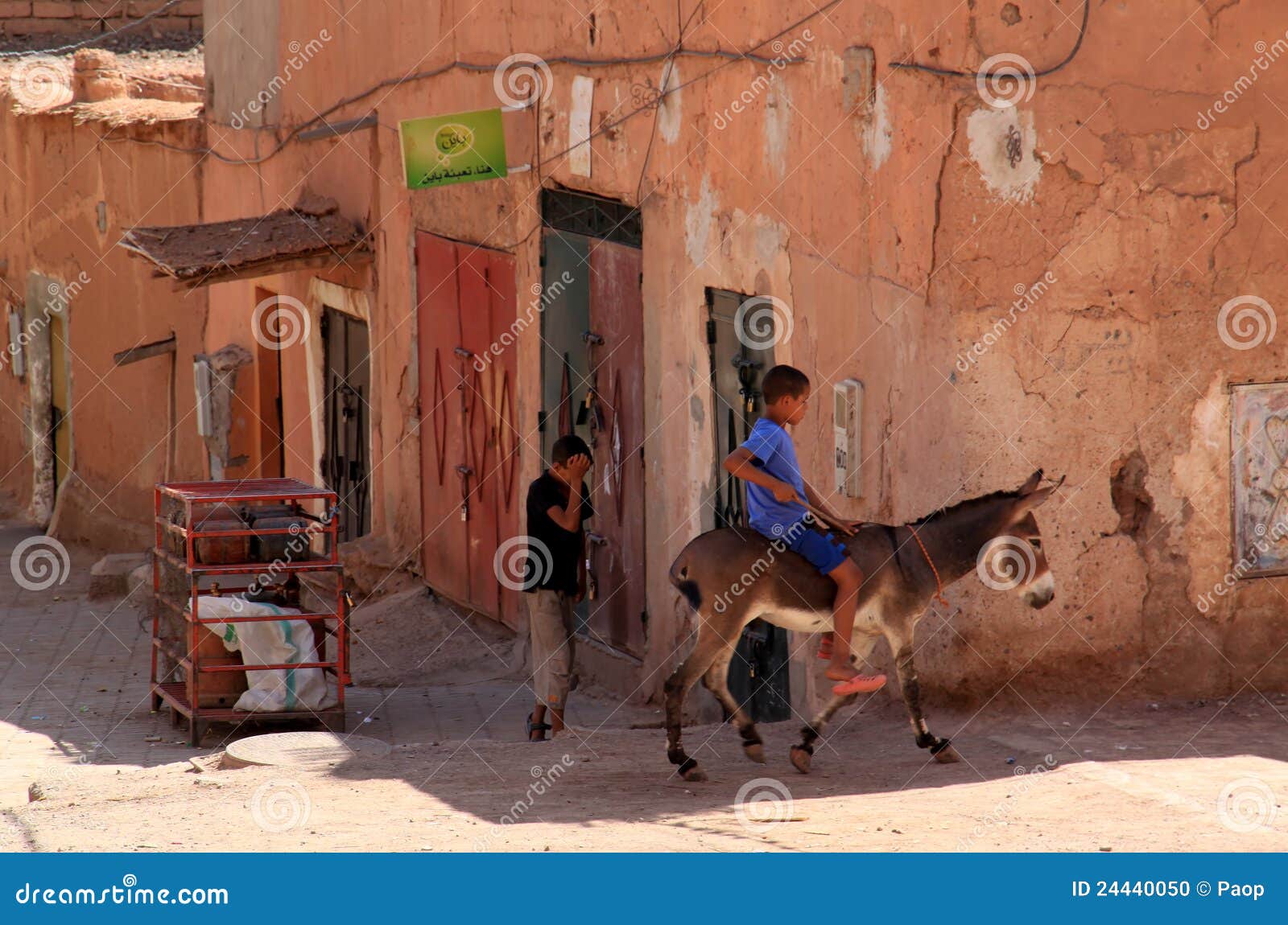 Child on a donkey editorial image. Image of moroccan - 24440050
