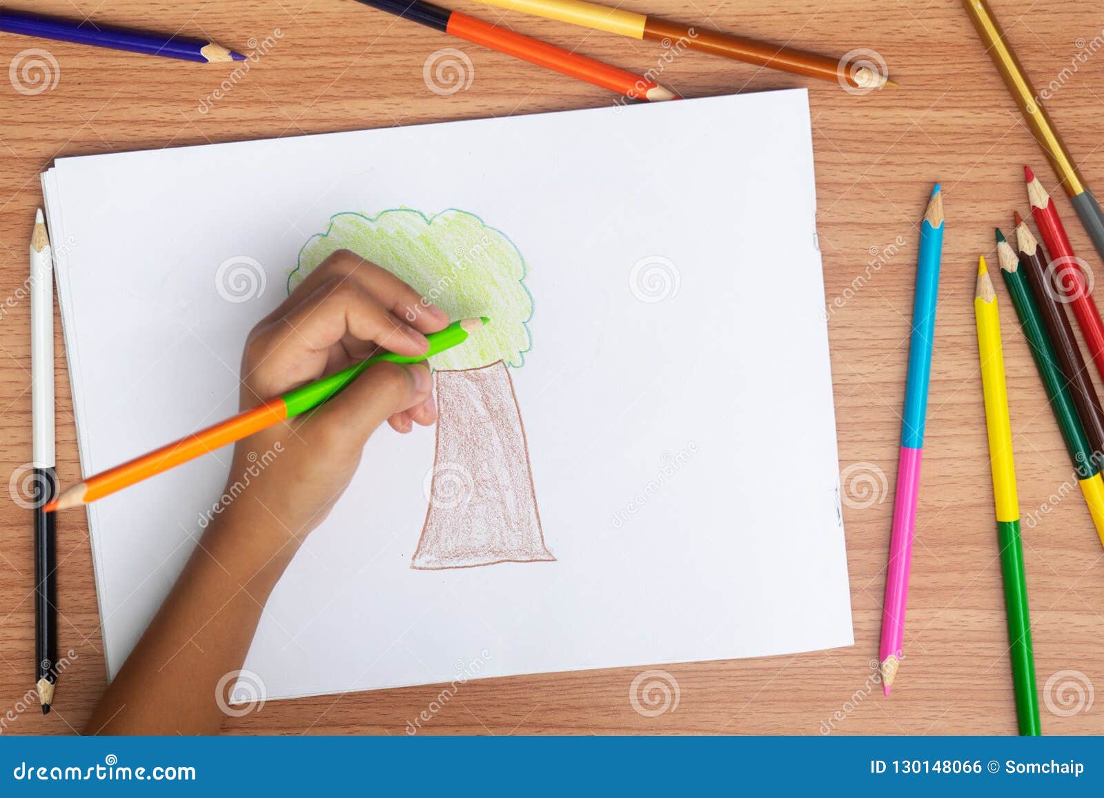 Child Draws a Pencil Drawing of the Tree Stock Photo - Image of ...