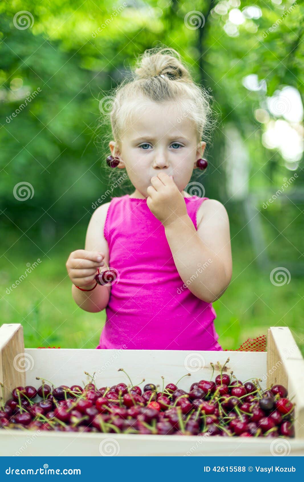 Child eating cherries stock photo. Image of playful, healthy - 42615588