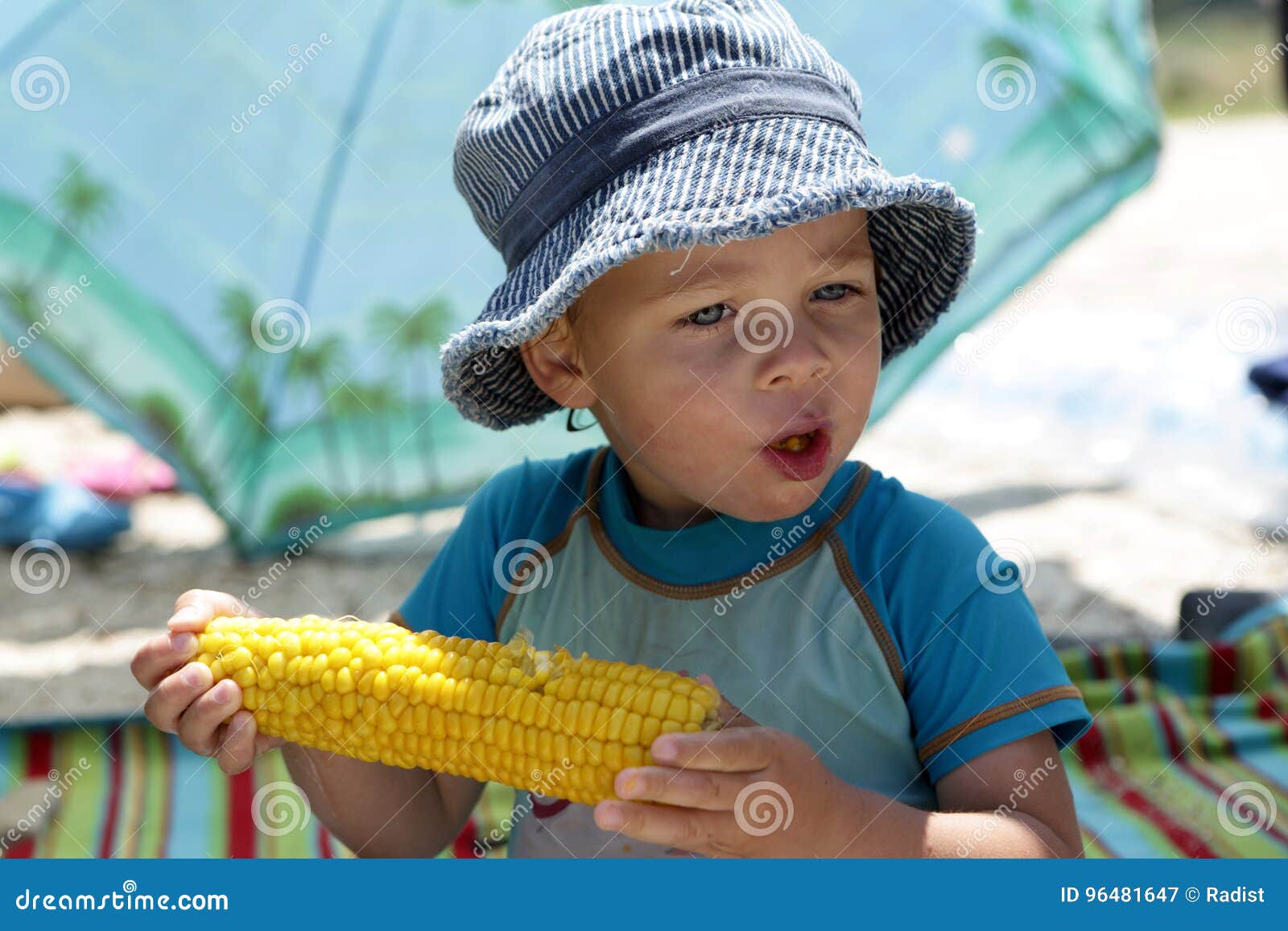 Child eating corn stock image. Image of food, biting - 96481647