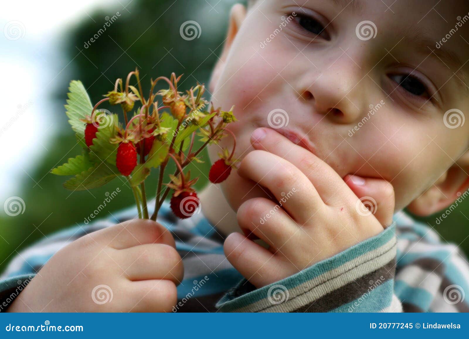 Child Eating Delicious Strawberries Stock Image - Image of children ...