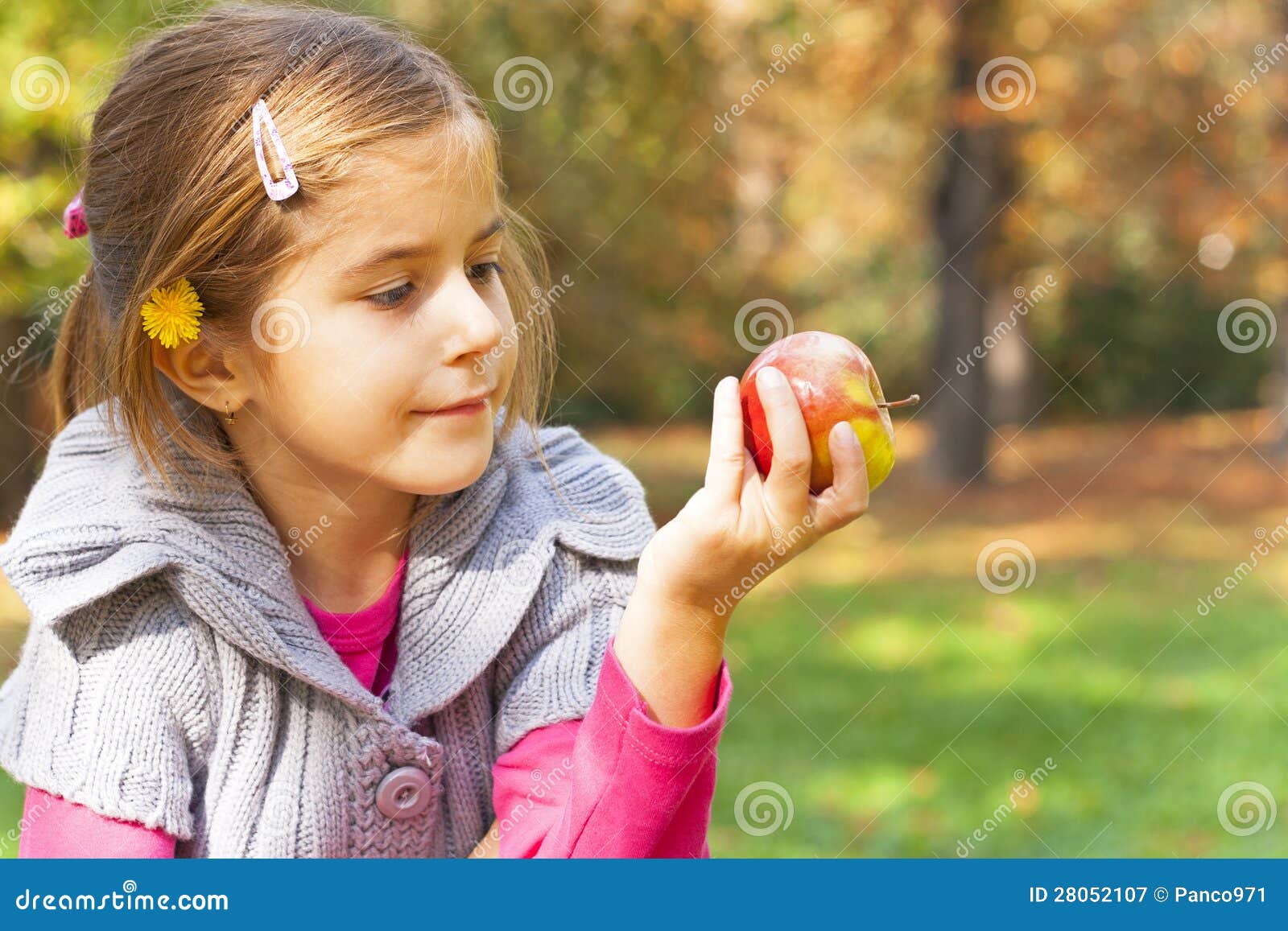Fresh Apple And Rotten Apple Lying On A Gray Background. Good And Bad ...
