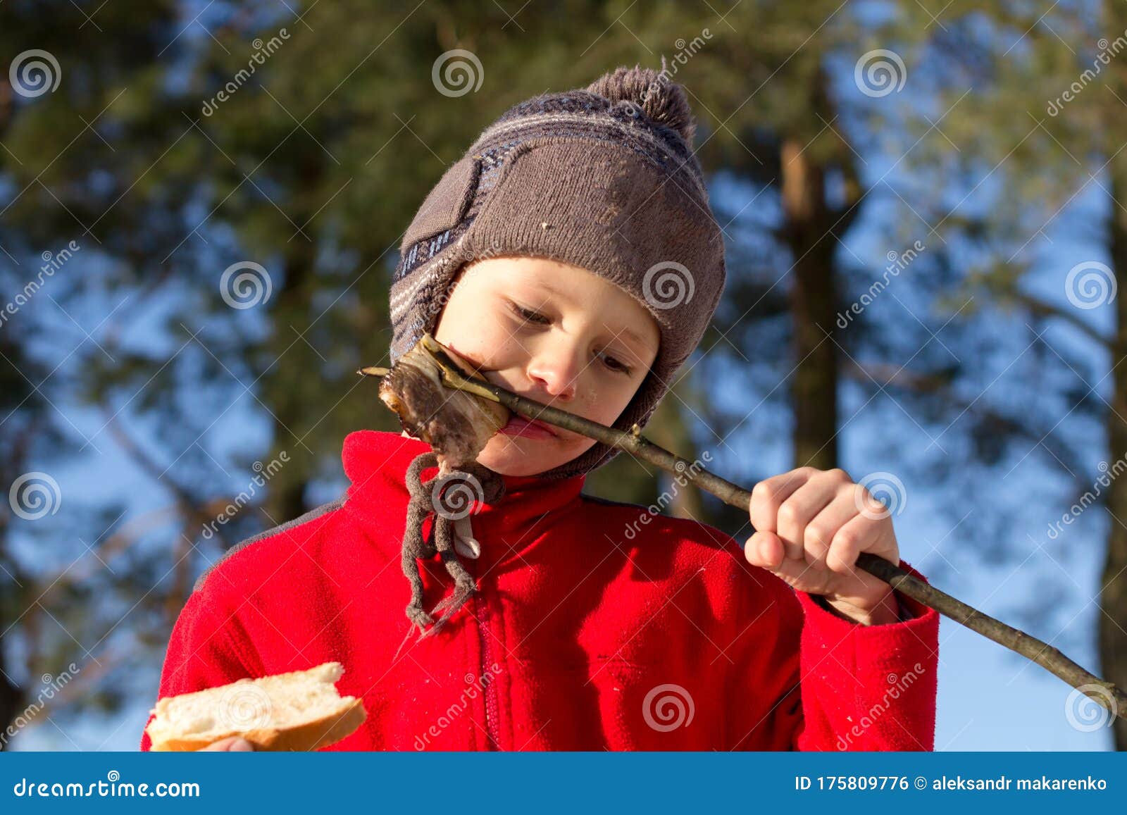 Child Eating Meat on a Picnic in Nature in the Forest Stock Photo ...