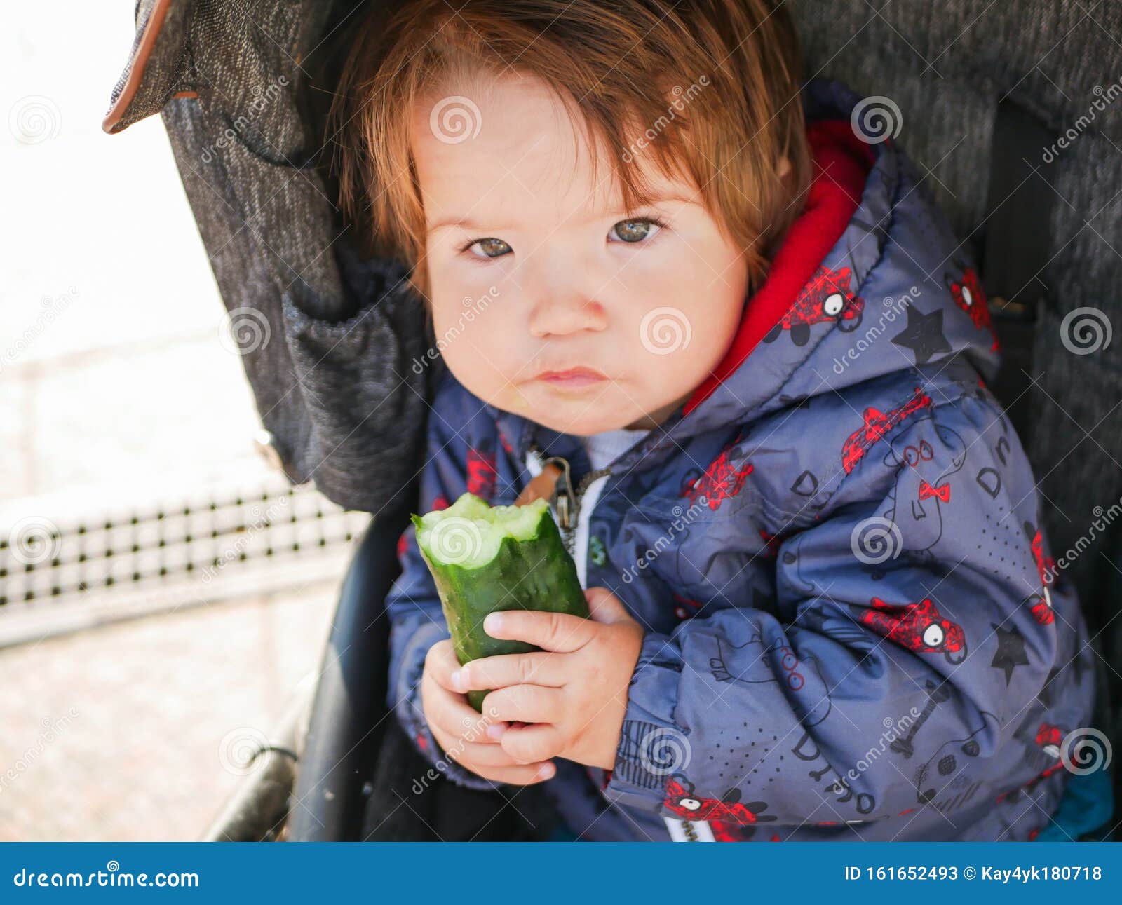 Child Eats a Cucumber. Sitting in a Stroller. Lively Emotions Stock ...