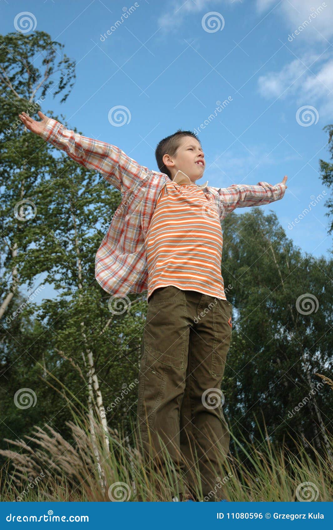 Child on the edge stock photo. Image of child, tree, spread - 11080596