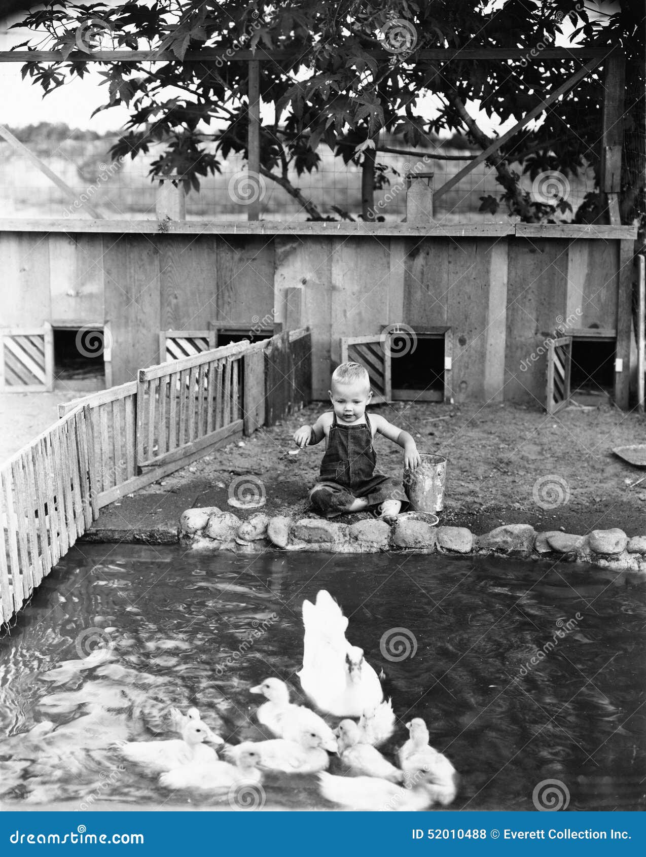 Child at edge of duck pond stock photo. Image of exterior - 52010488
