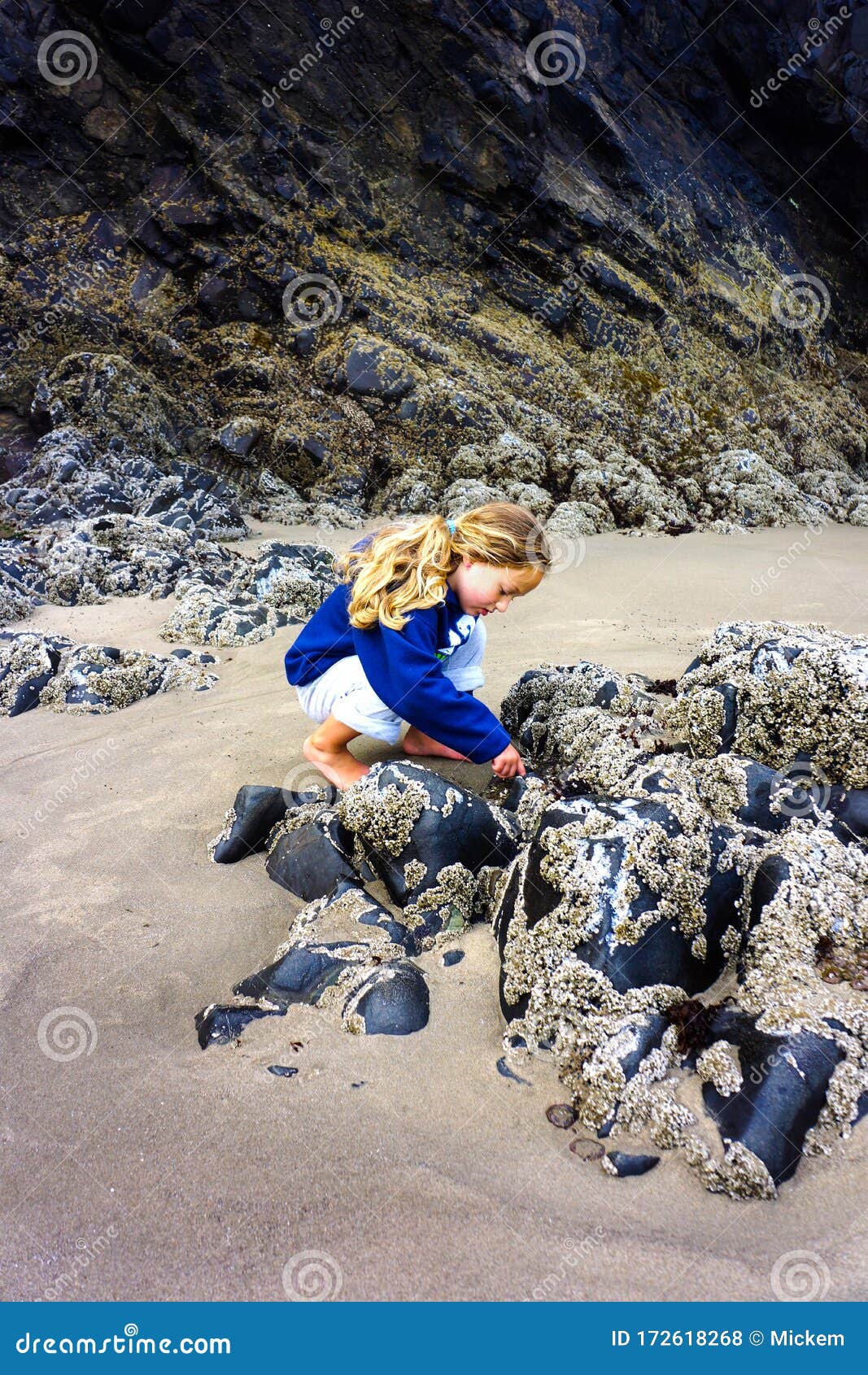 Child Explores Tide Pool stock photo. Image of family - 172618268 Child Explores Tide Pool stock photo. Image of family - 172618268