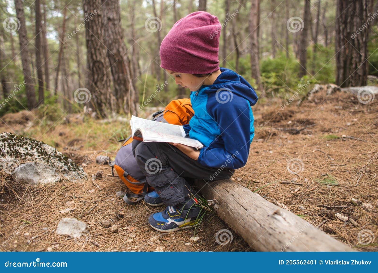 A Child is Exploring the Forest Stock Image - Image of hike, hiking ...