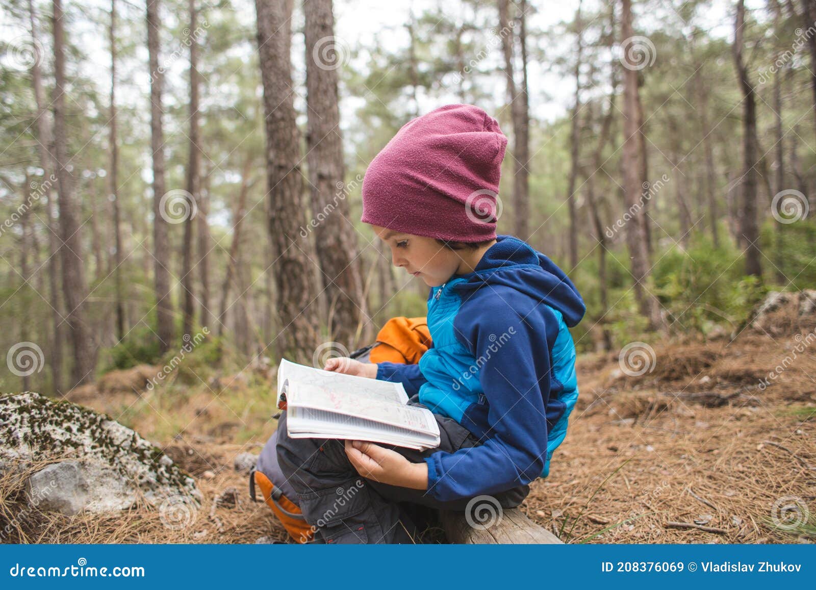 A Child is Exploring the Forest Stock Image - Image of exploration ...