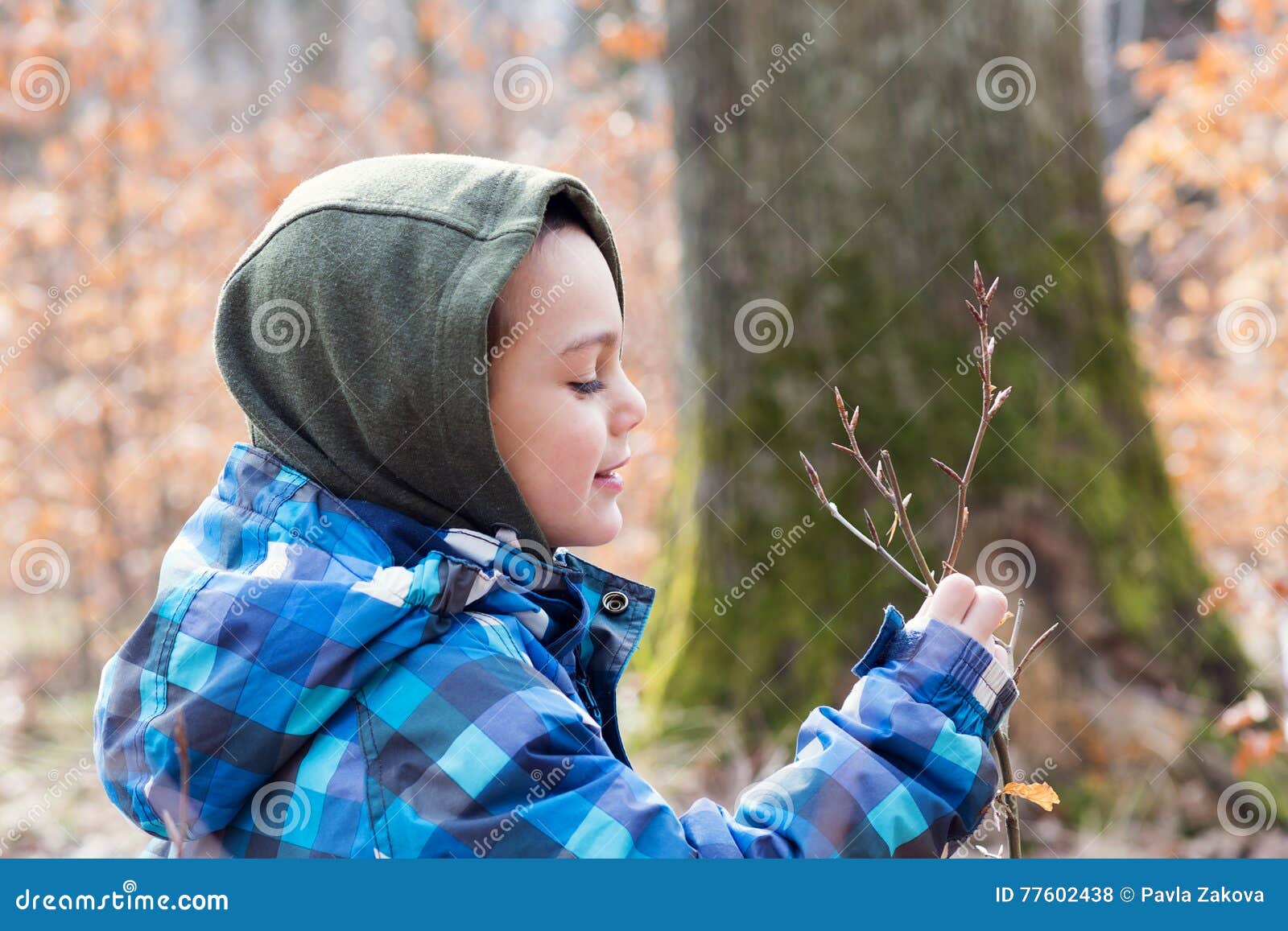 Child Exploring Nature in Forest Stock Photo - Image of twig, studying ...